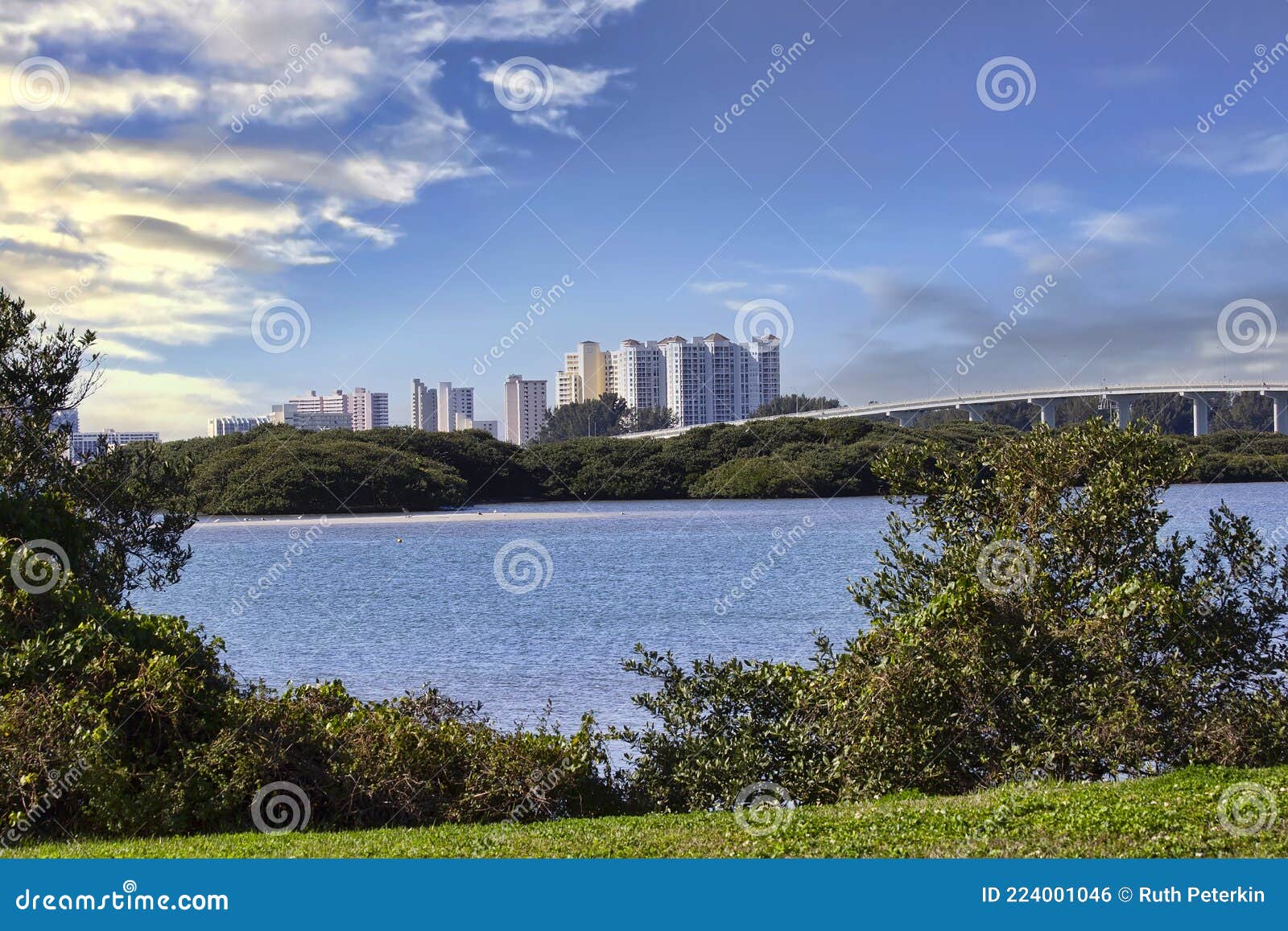 Clearwater Beach and the Gulf of Mexico Stock Photo - Image of nature ...