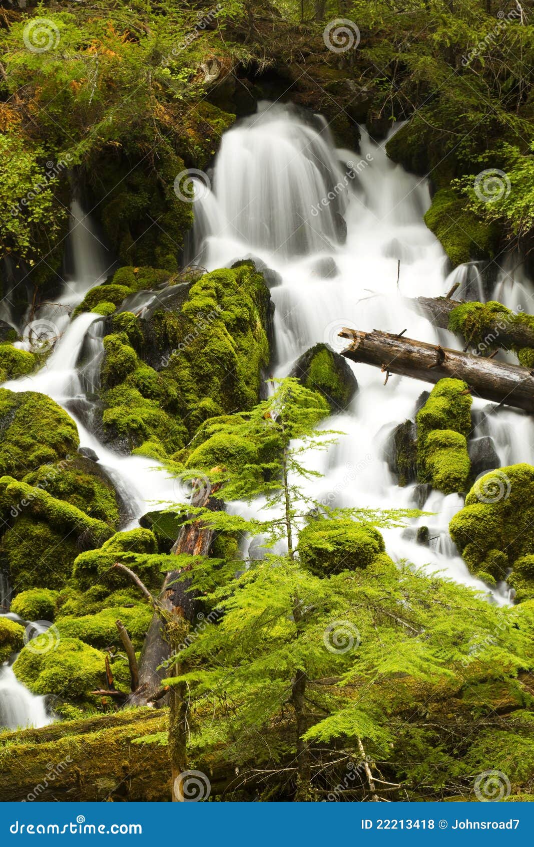 Clearwater Falls stock photo. Image of nature, scenery - 22213418