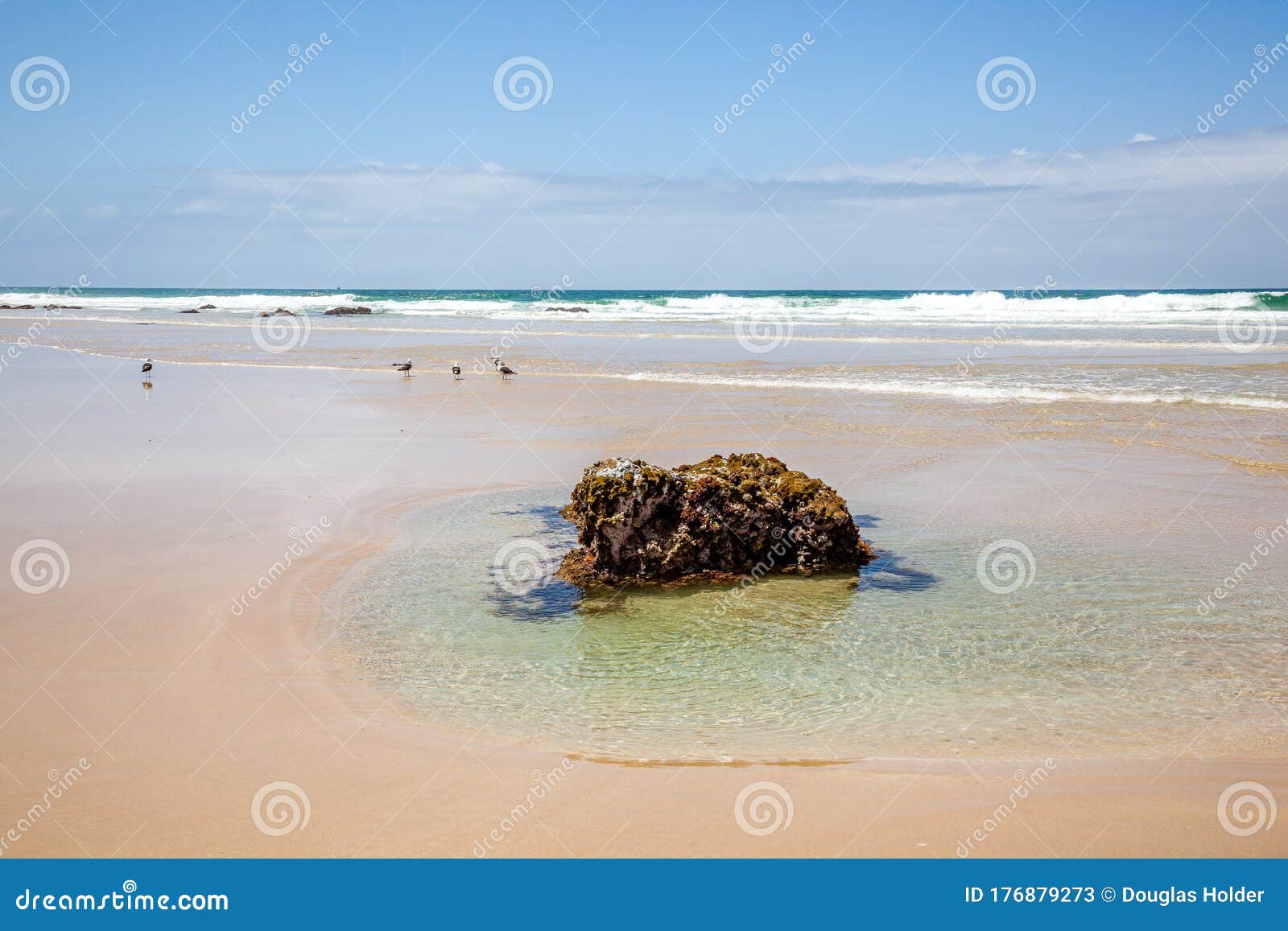 Rock pool on the beach stock image. Image of rock, africa - 176879273