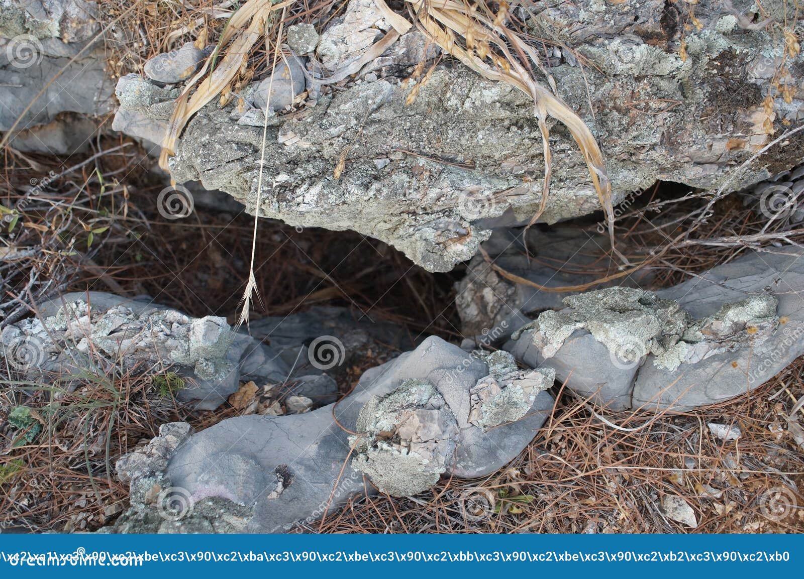 Cleft Or Split In The Rocks, Small Cave, Dry Grass Royalty-Free Stock ...