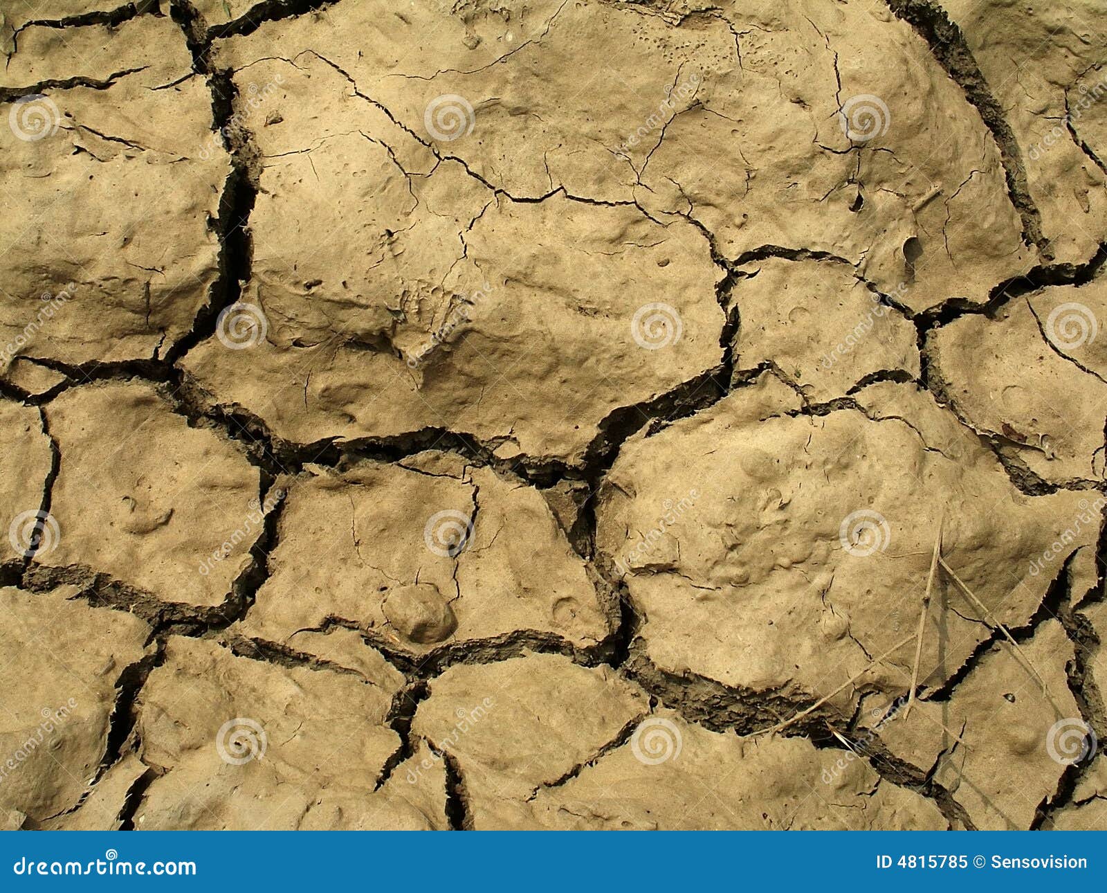 Clefts on dried soil stock image. Image of breaks, desert - 4815785