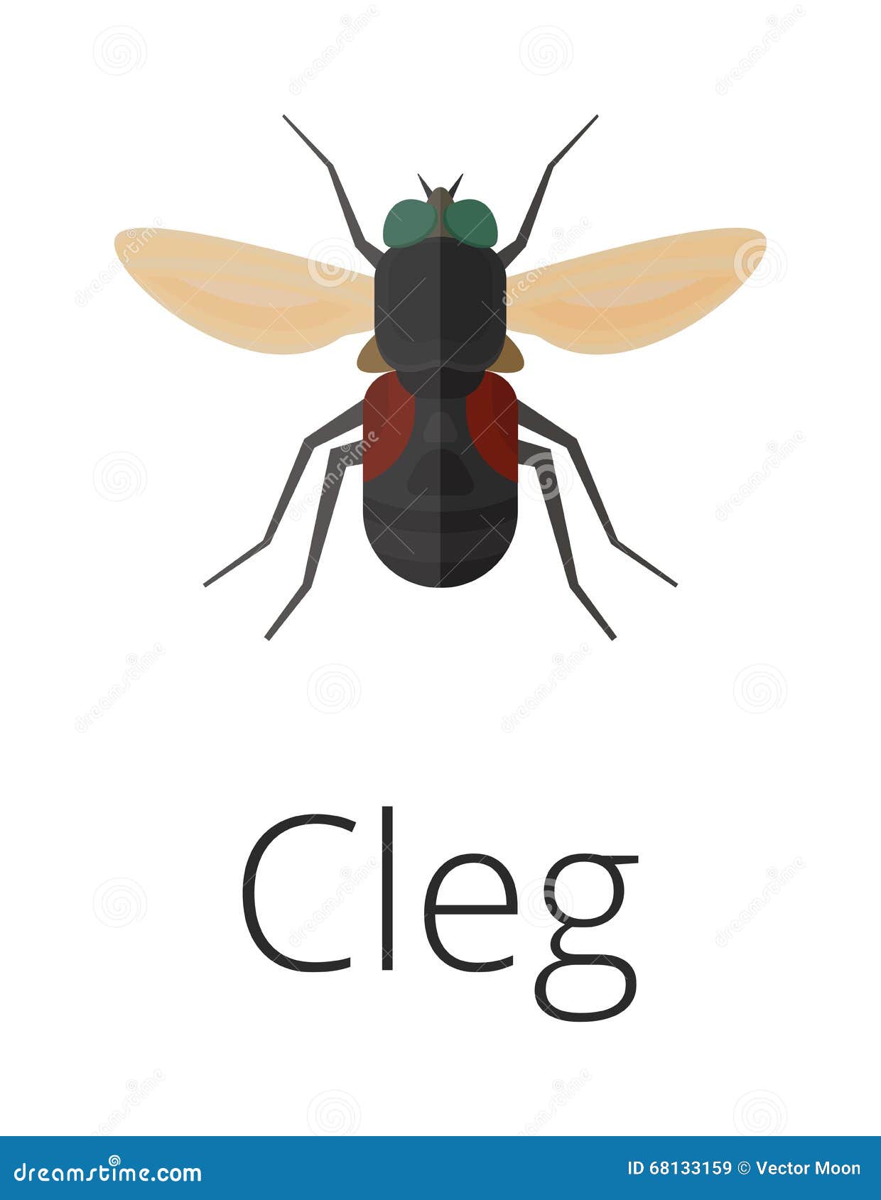 Cleg Skin Parasite Insect Bug . Stock Vector - Illustration of beetle ...