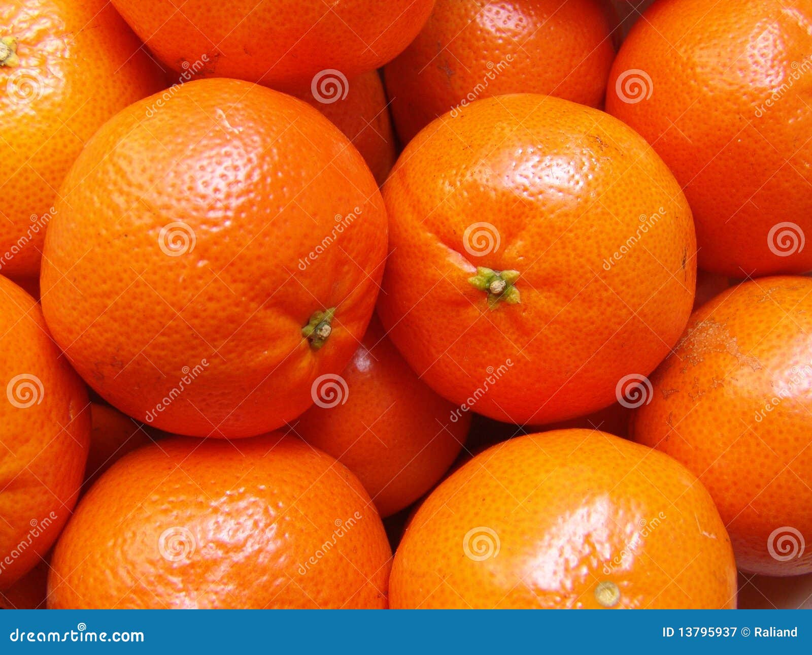 Clementina imagem de stock. Imagem de mandarinas, casca - 13795937