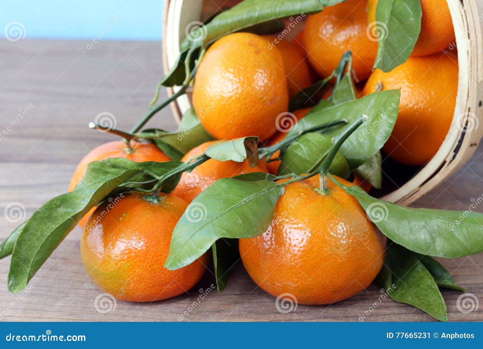 Clementina immagine stock. Immagine di spremuta, freschezza - 77665231