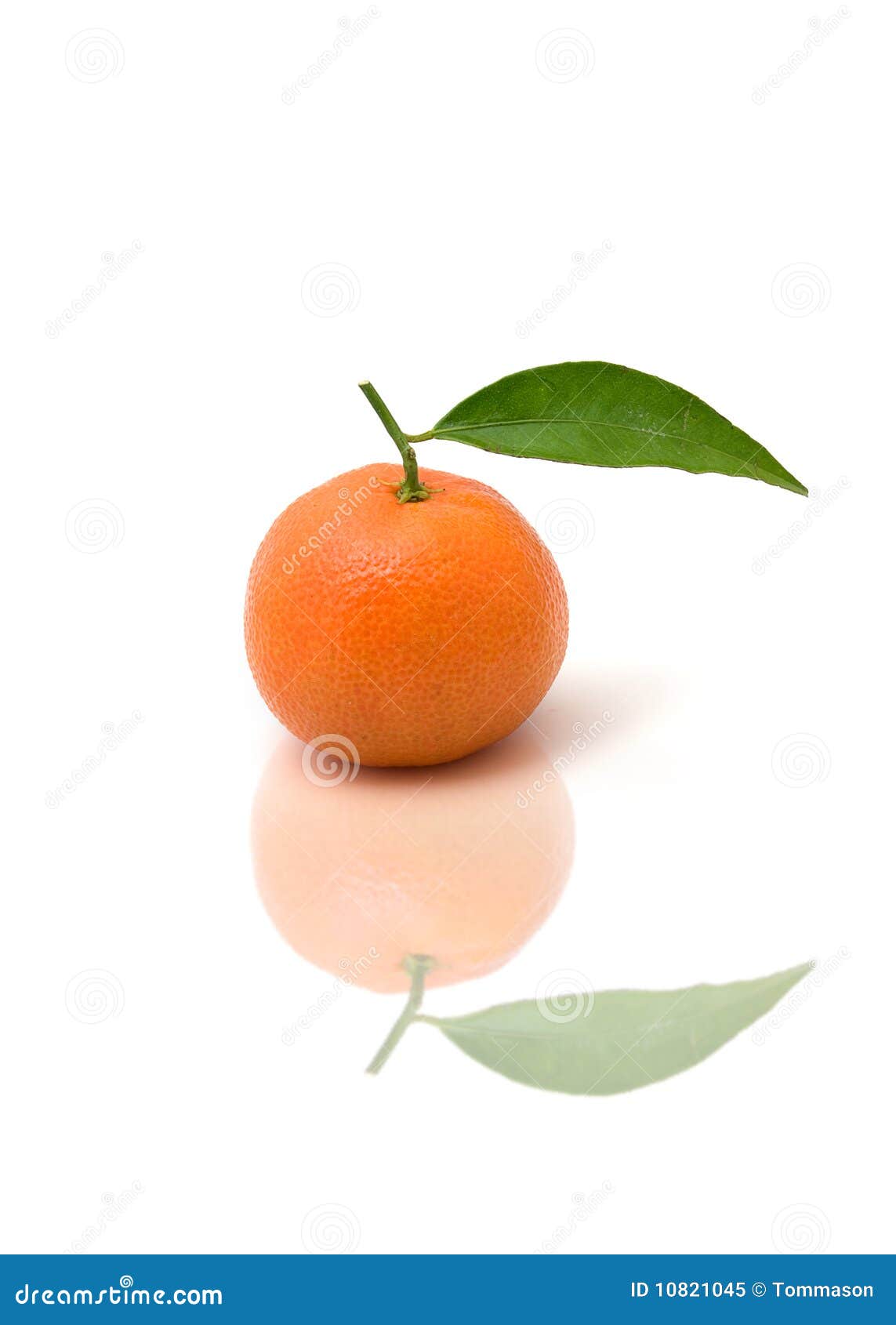 Clementine stock image. Image of citrus, stalk, orange - 10821045