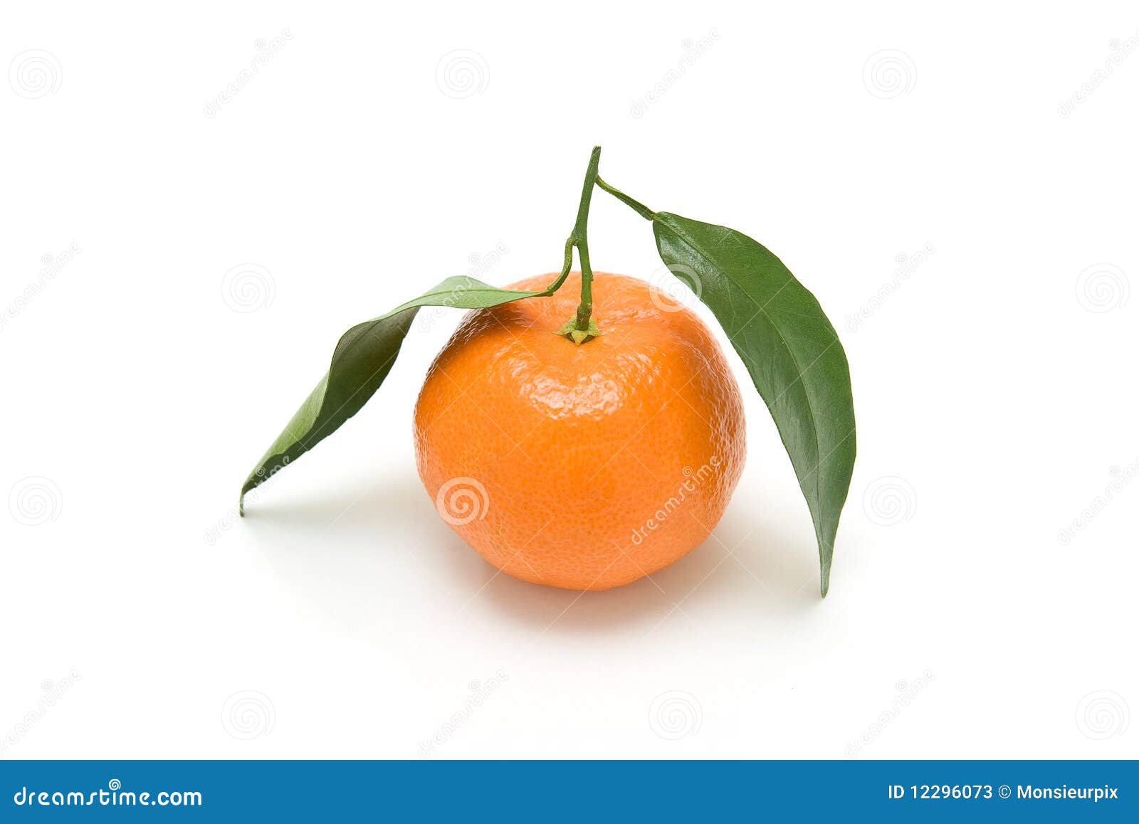 Clementine stock image. Image of green, mandarin, leaf - 12296073