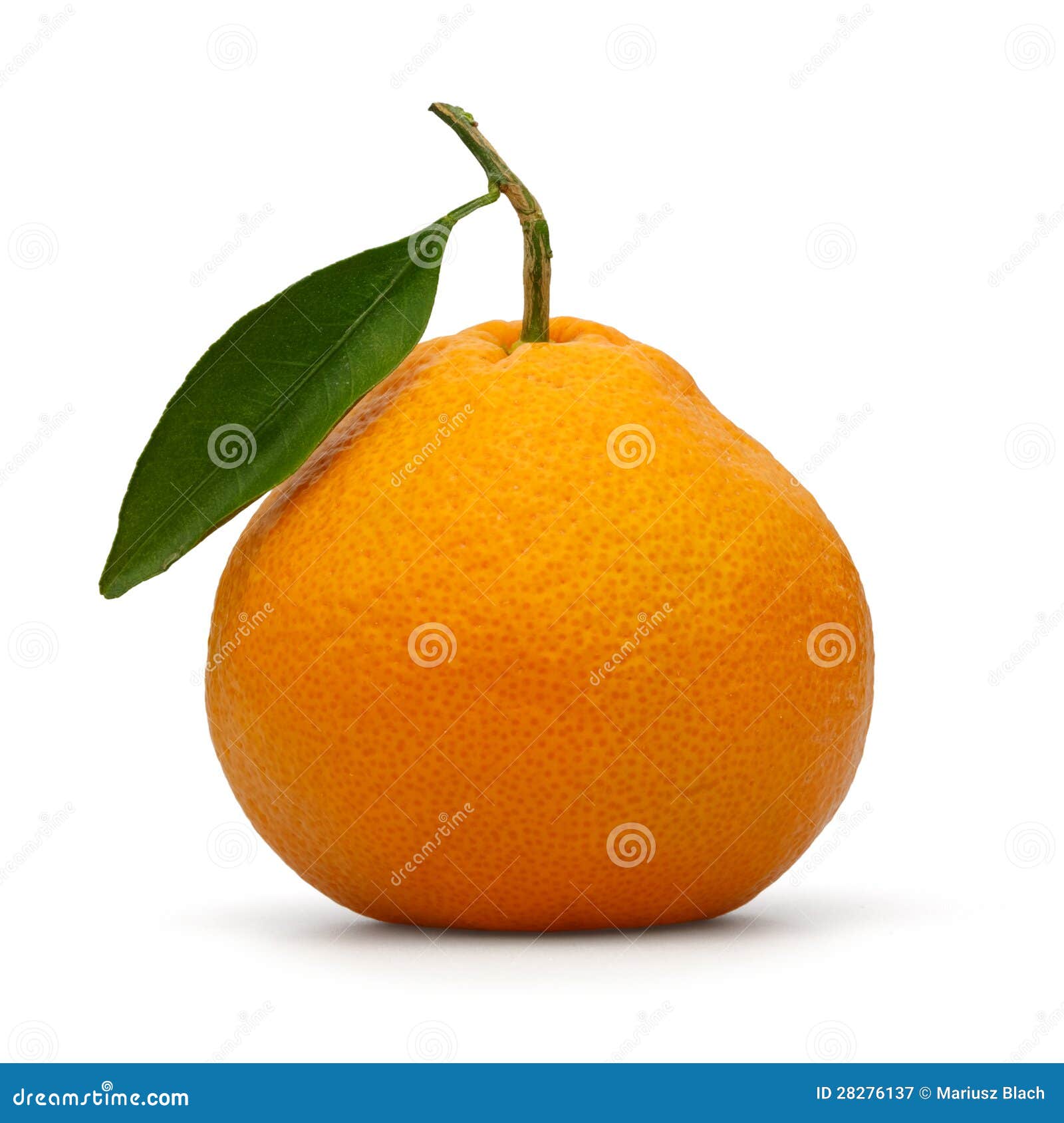 Clementine stock image. Image of food, clementine, diet - 28276137