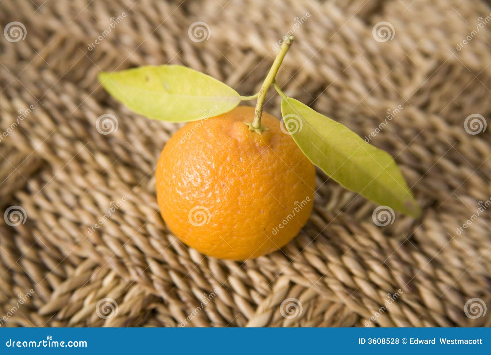 Clementine with leaves stock photo. Image of small, green - 3608528
