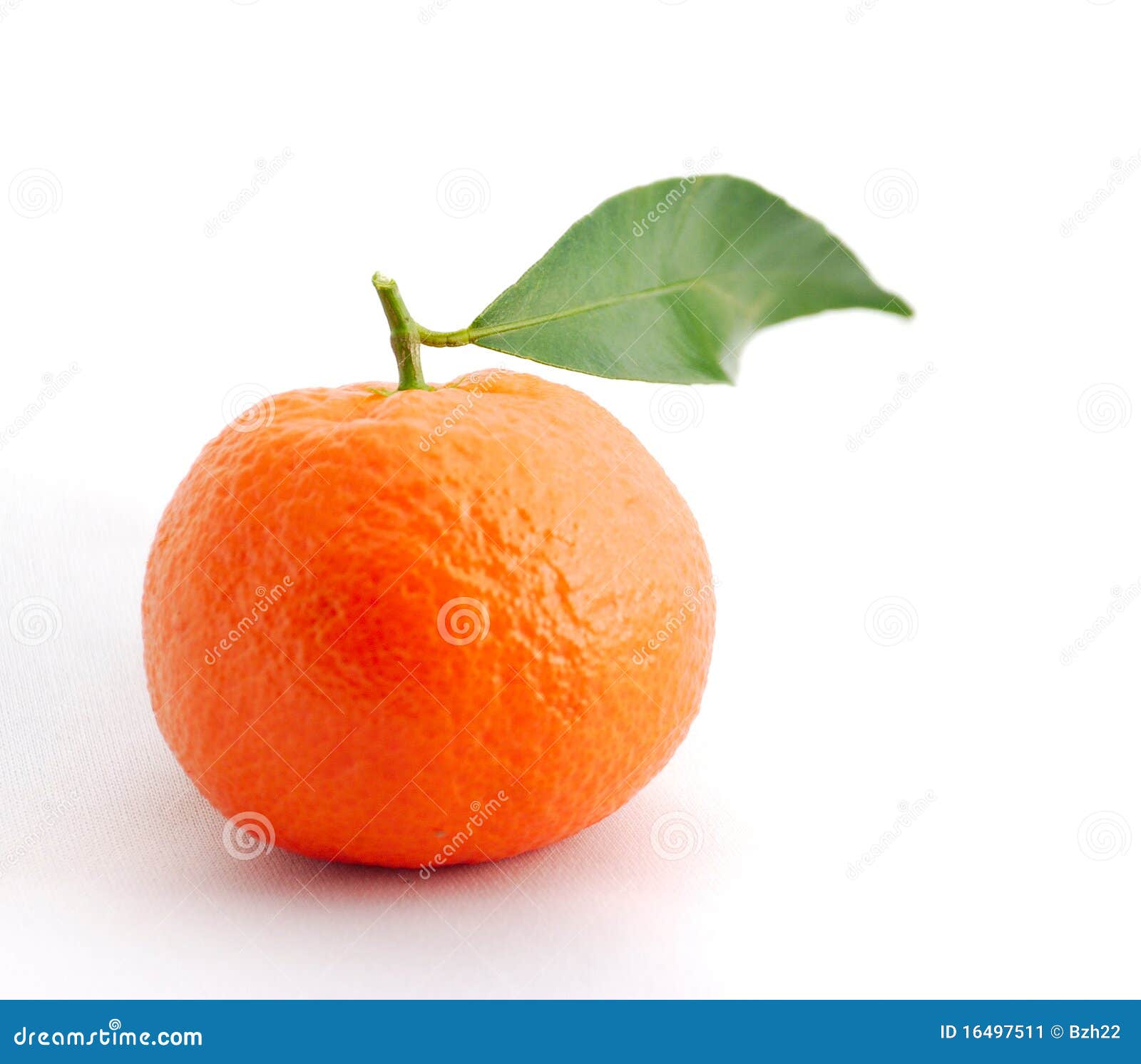 Clementine orange stock image. Image of fresh, clementine - 16497511