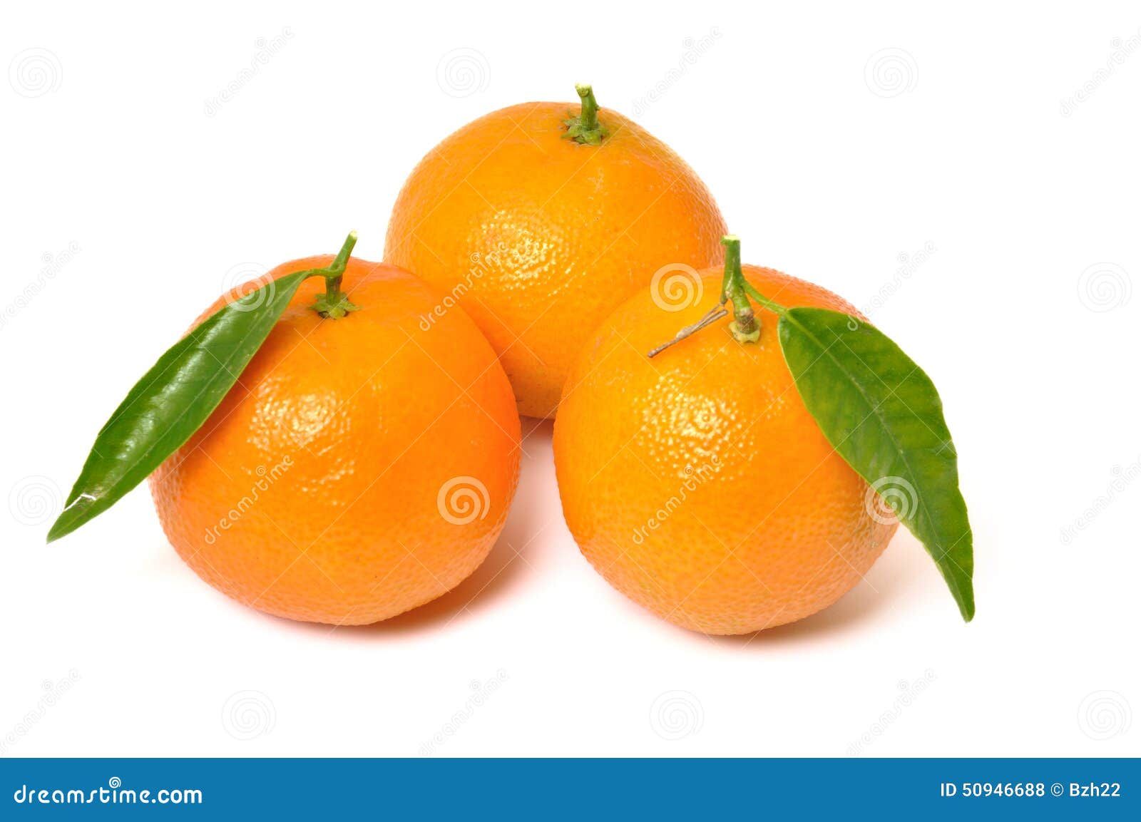 Clementine orange stock photo. Image of festive, healthy - 50946688