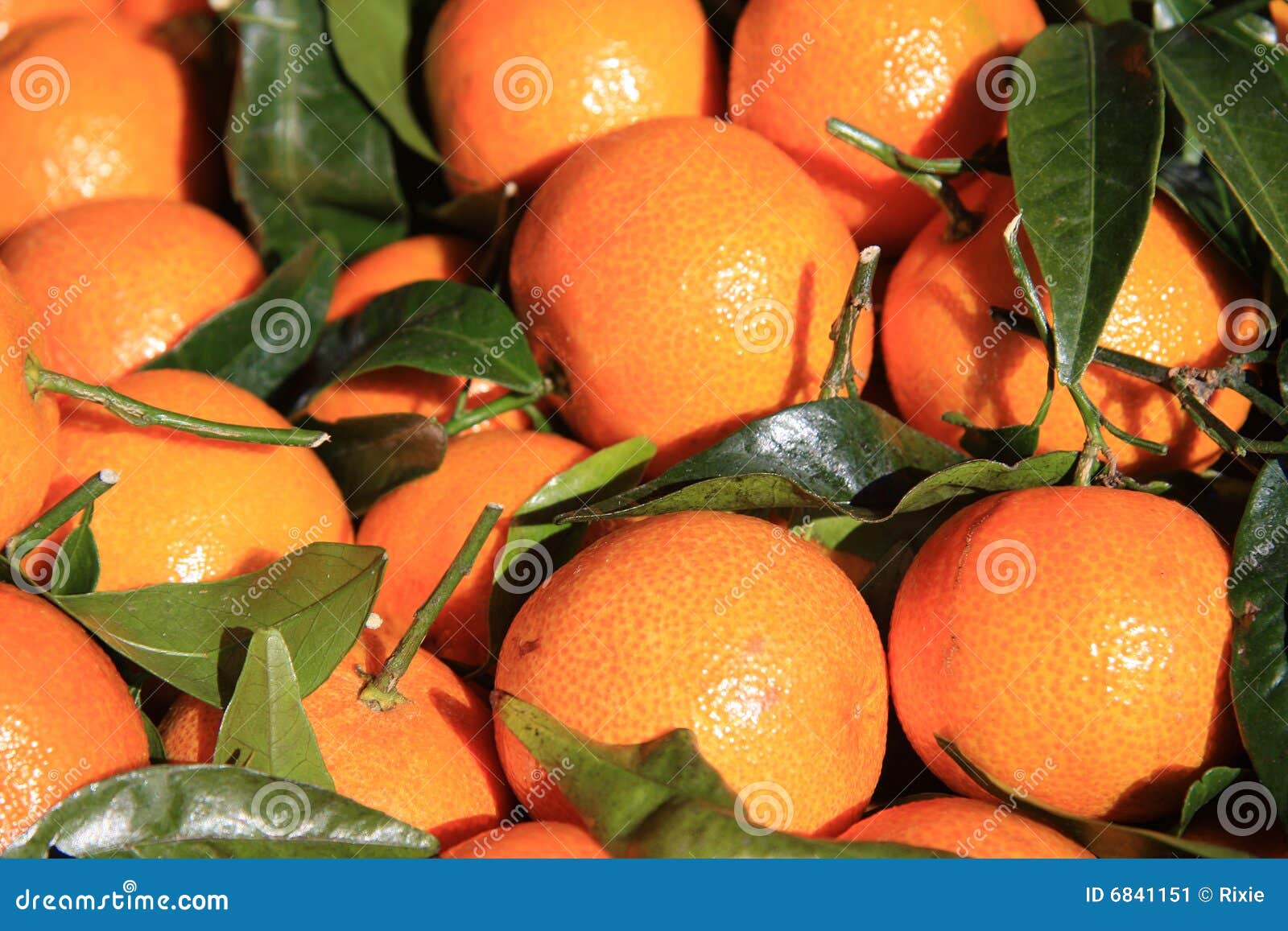 Clemetines stock image. Image of nutritious, citrus, pith - 6841151