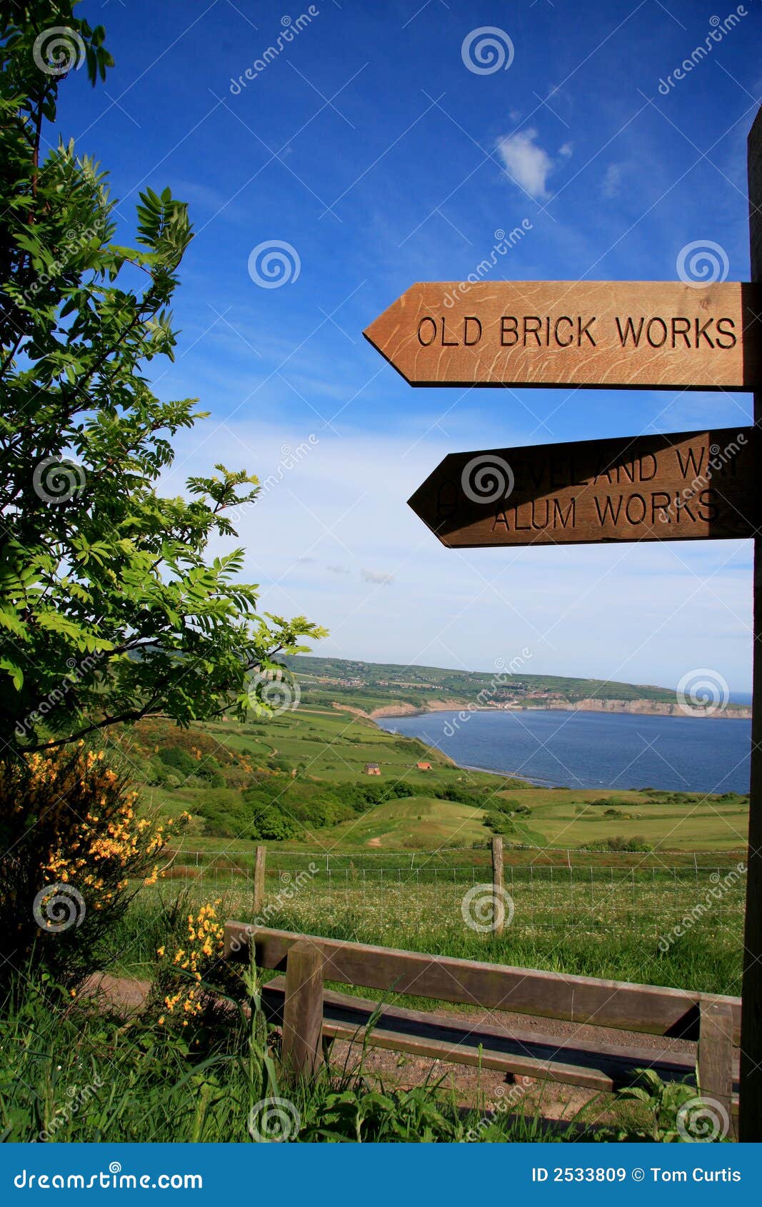 The Cleveland Way stock image. Image of england, ravenscar - 2533809