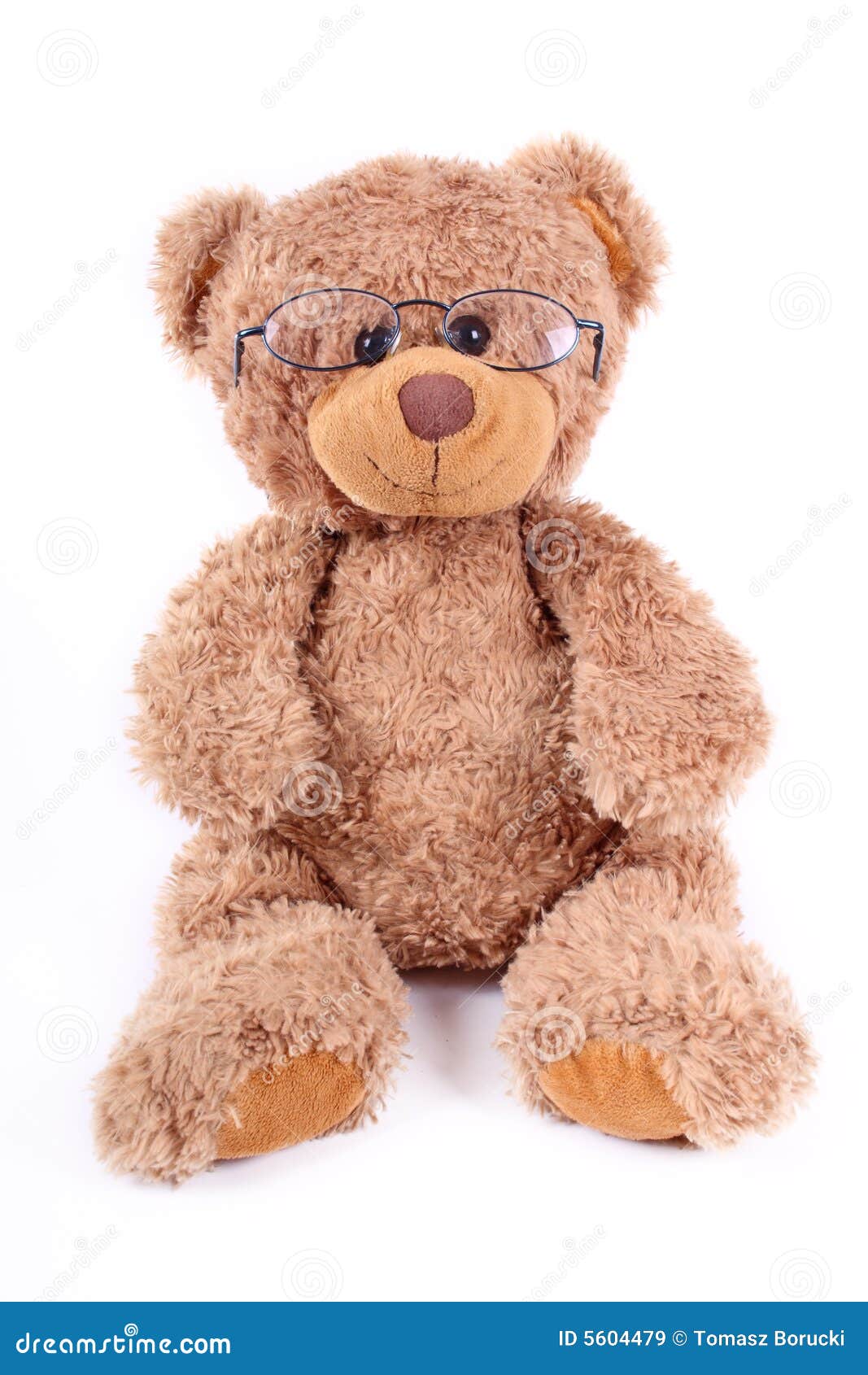 Clever Bear Picture. Image: 5604479