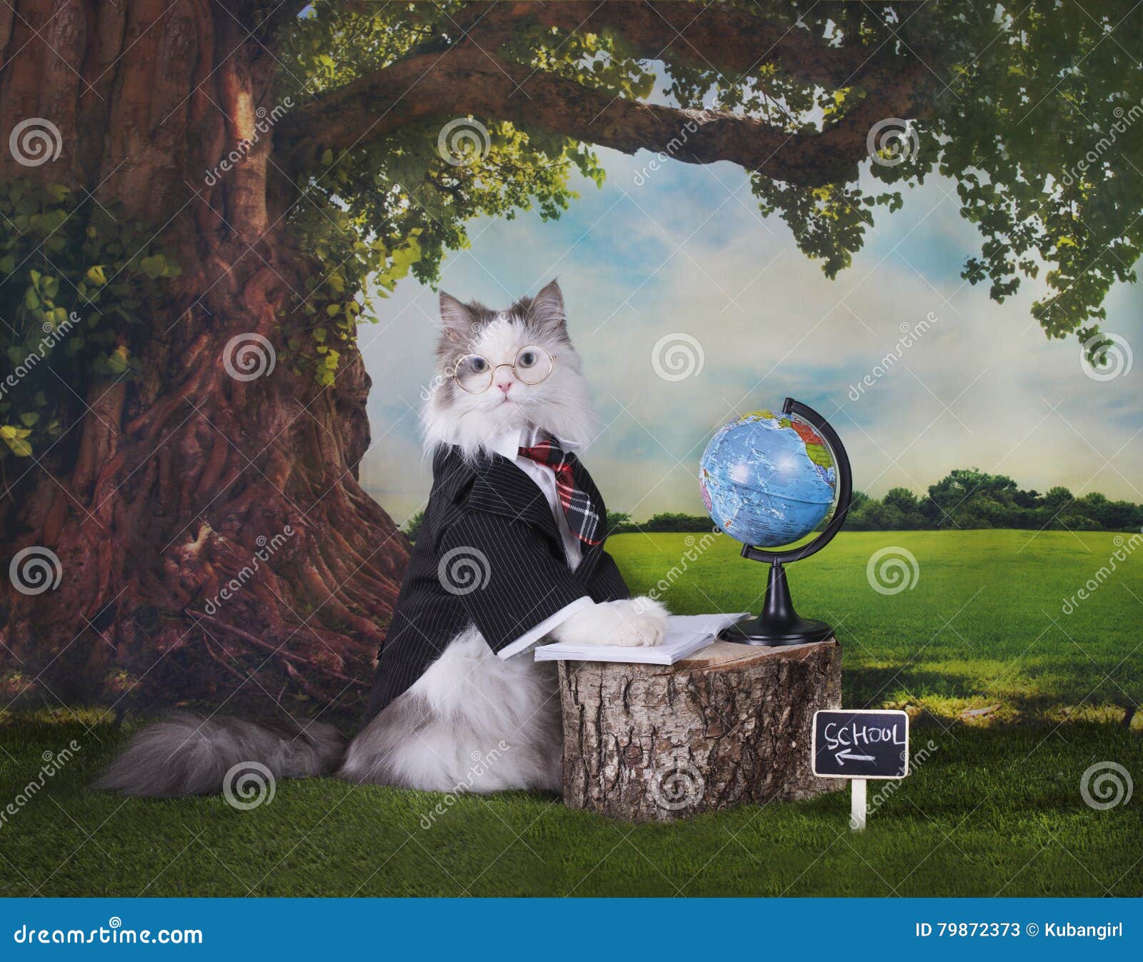 Clever Cat Under the Oak Holds a Geography Lesson Stock Image - Image ...