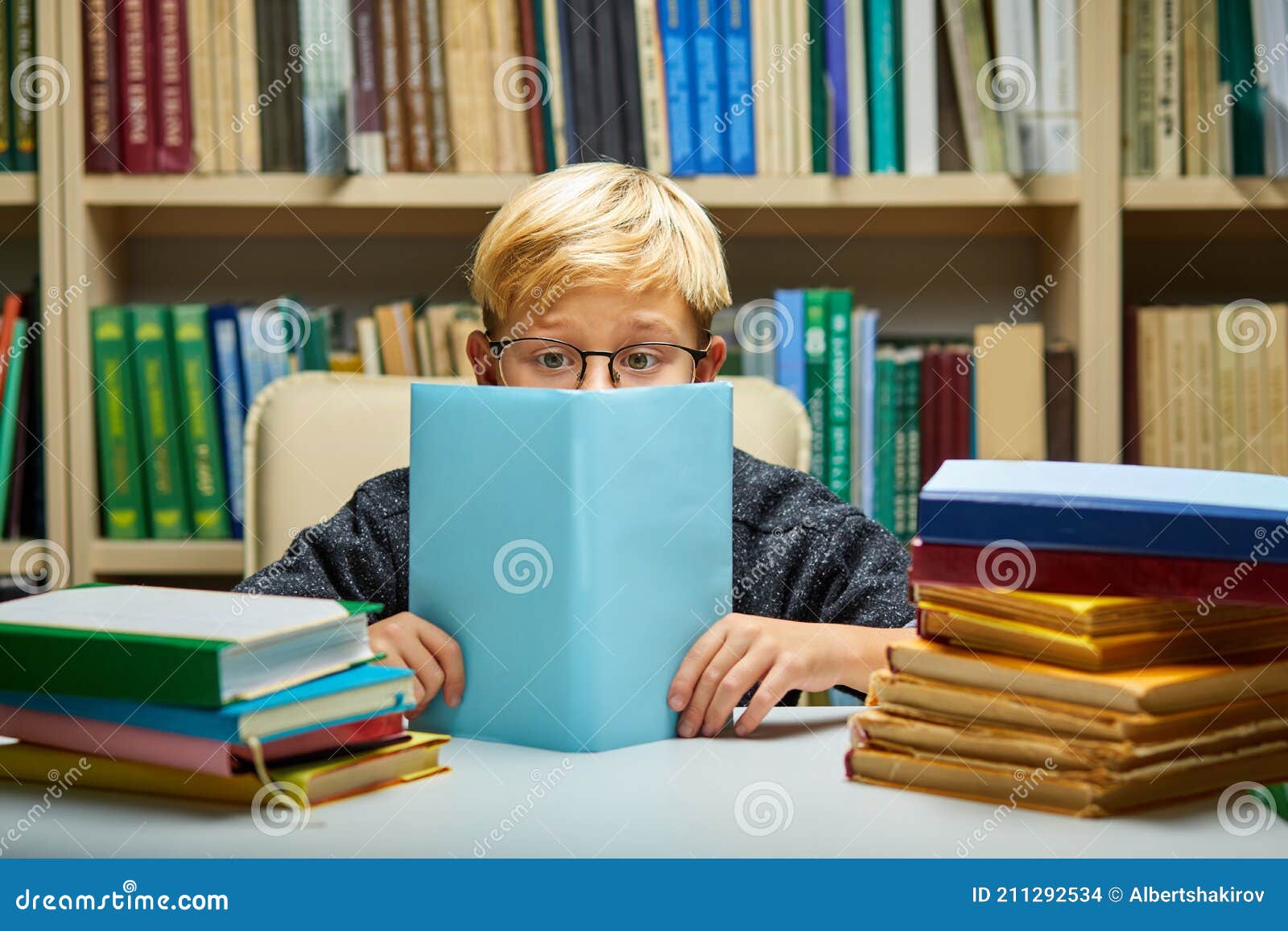 Clever Caucasian Kid Boy while Reading Book in Library Stock Photo ...