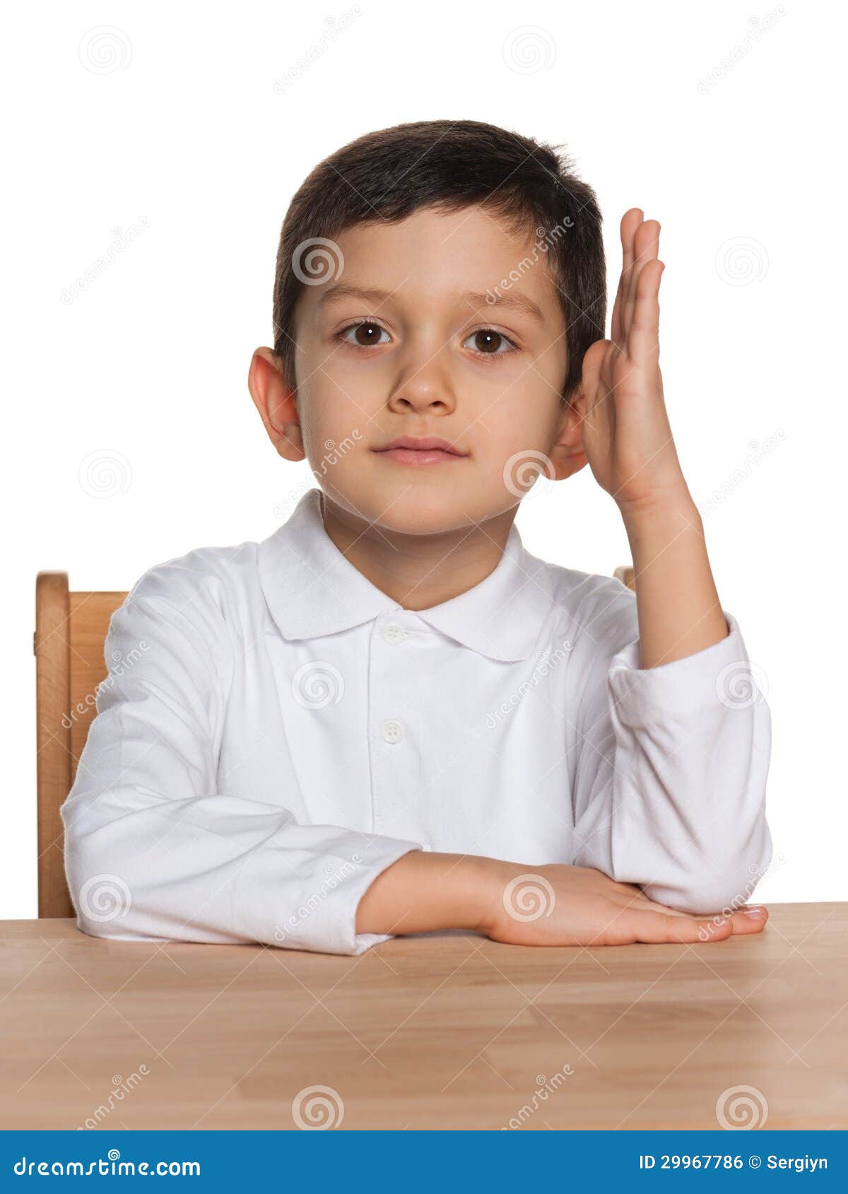 Clever boy at the desk stock photo. Image of lesson, caucasian - 29967786