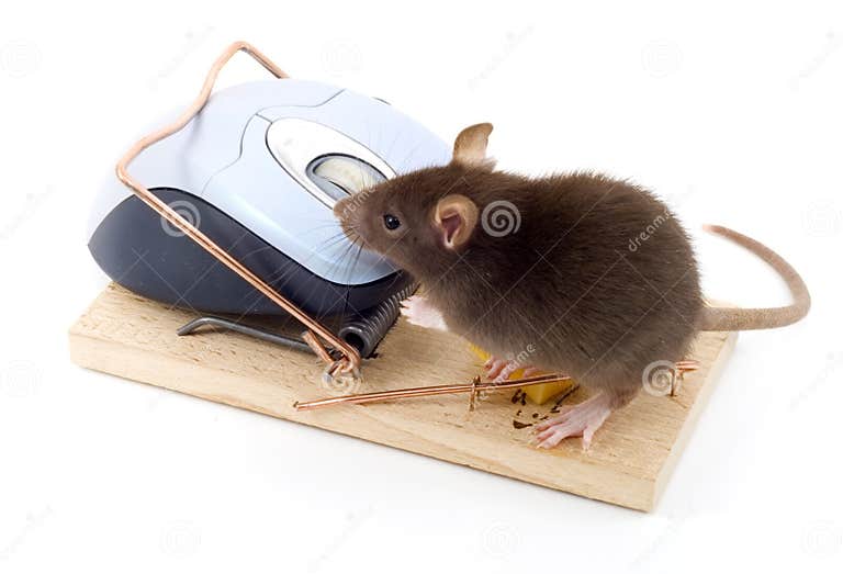 Clever Mouse stock image. Image of concept, hardware, mousetrap - 4597441