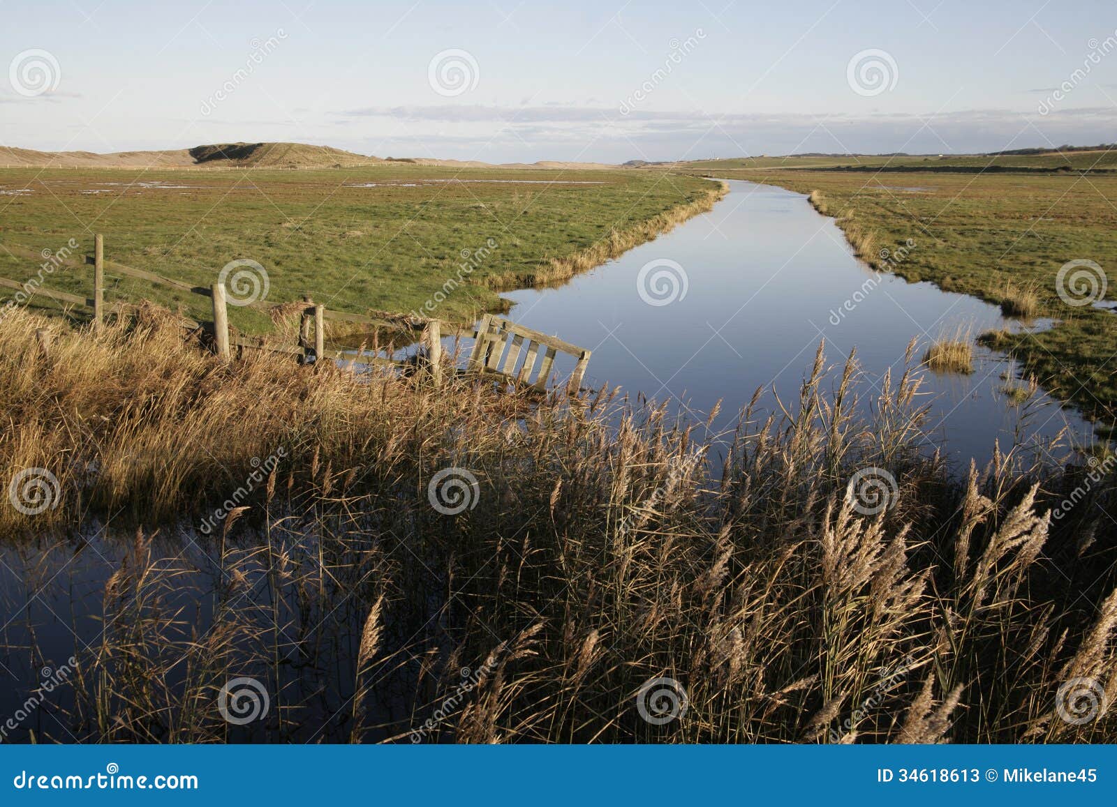 Cley Marshes Nature Reserve, Stock Image - Image of marshes, wildlife ...