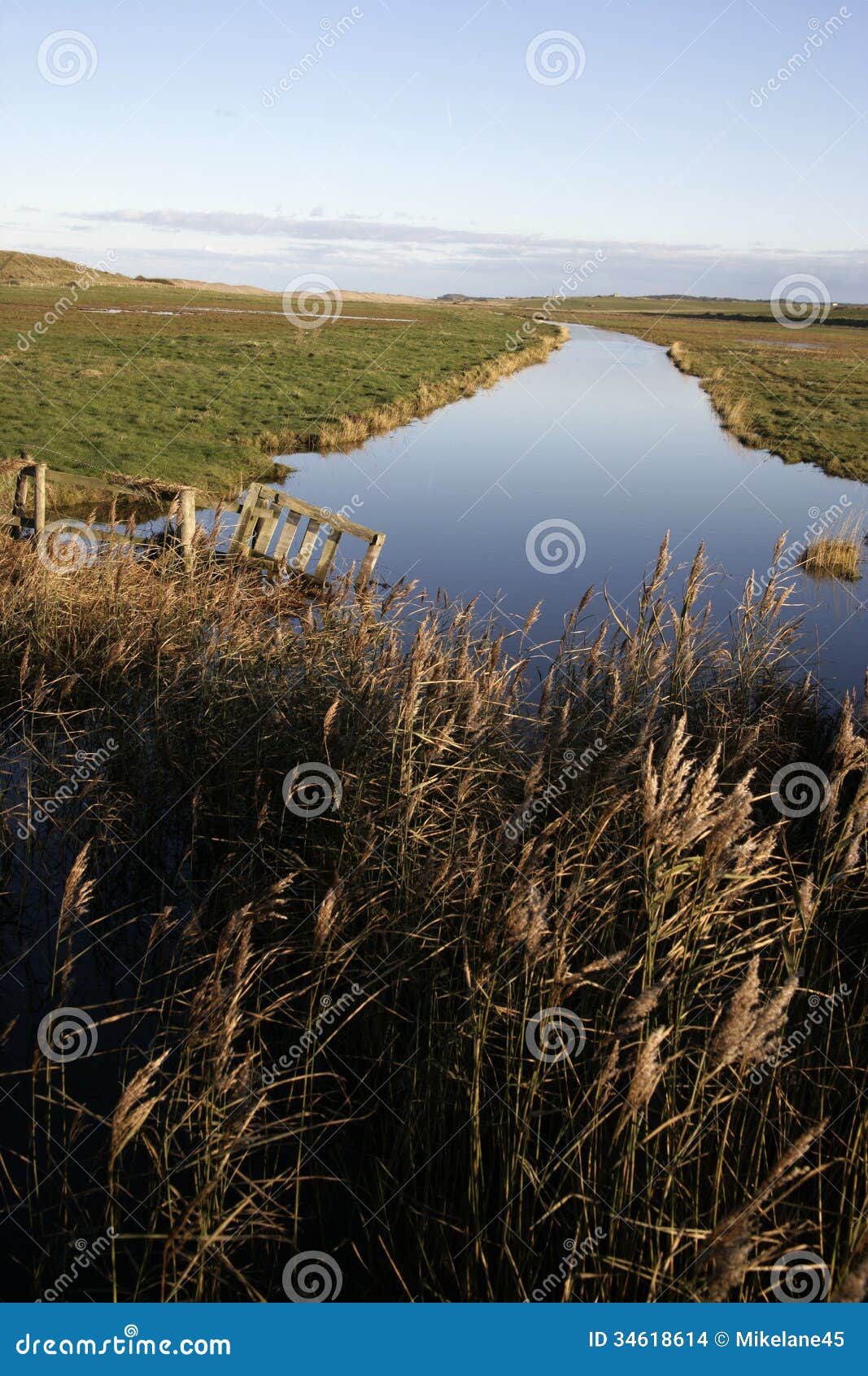 Cley Marshes Nature Reserve, Stock Photo - Image of shrubland ...