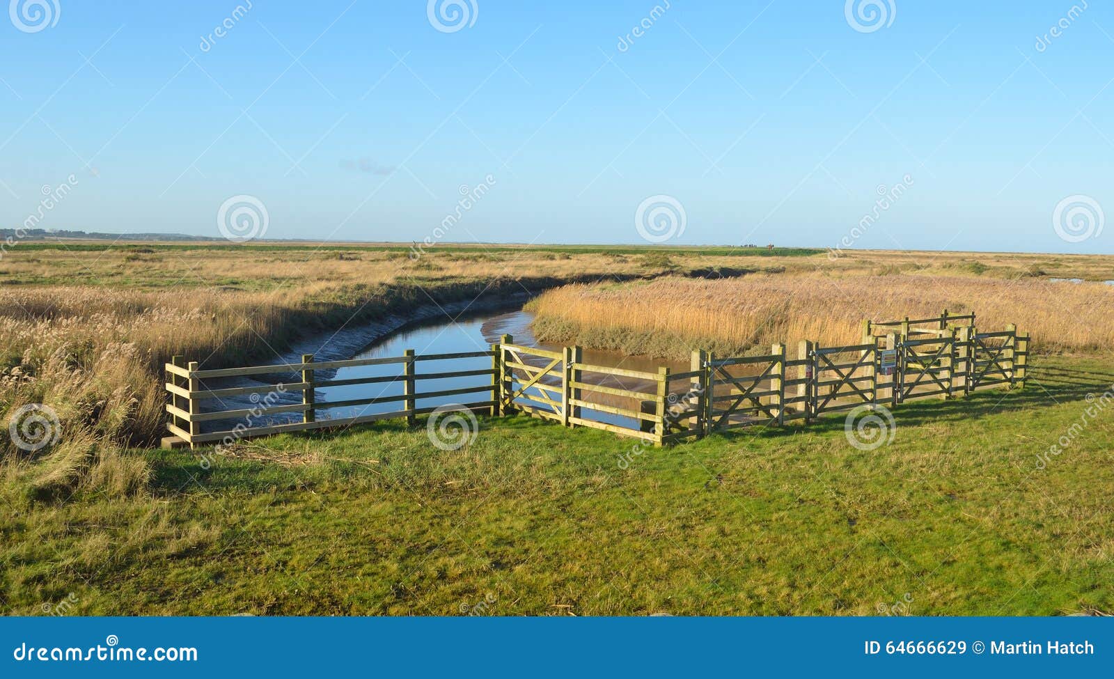 Cley Marshes Nature Reserve North Norfolk. Stock Image - Image of ... Cley Marshes Nature Reserve North Norfolk. Stock Image - Image of ...