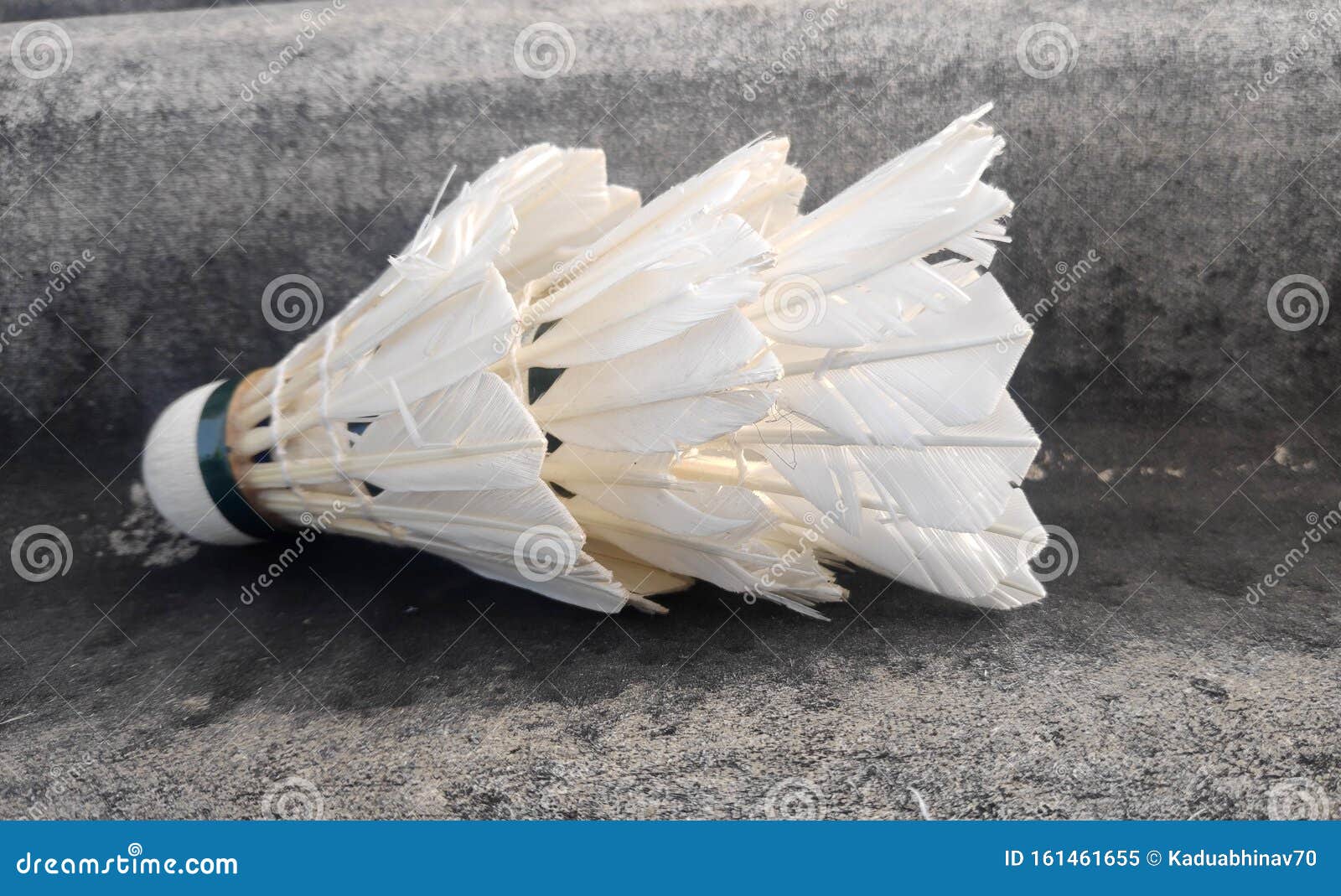 Group of Feathered Shuttle stock image. Image of shuttle - 161461655