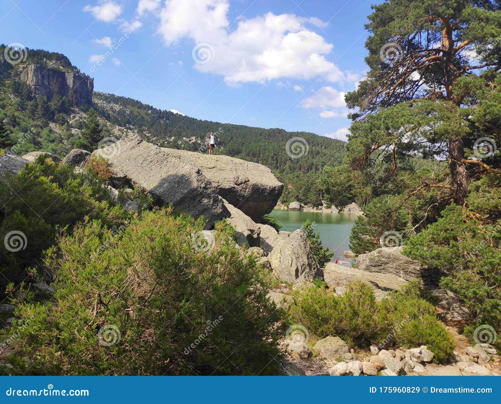 Clif with a Lake Surounded by Trees Stock Image - Image of lake, nature ...