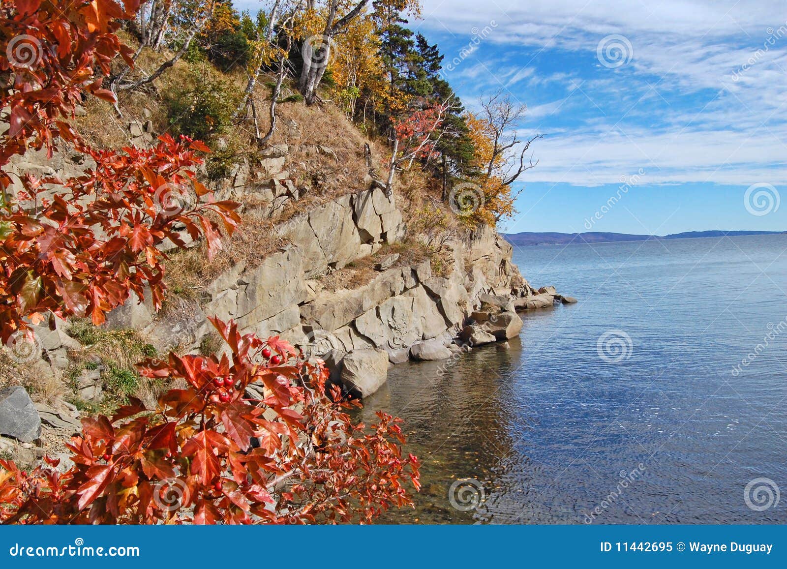 Cliff in autumn stock image. Image of colored, coloured - 11442695