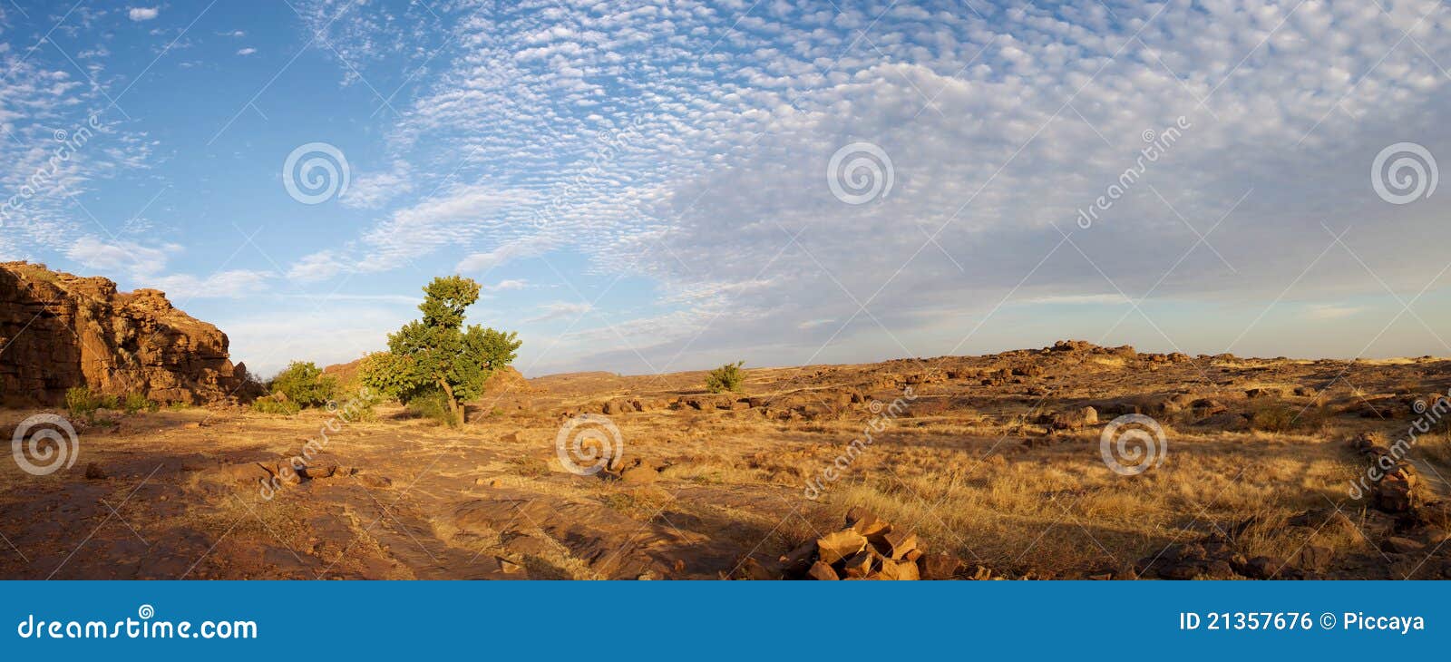 Cliff of Bandiagara in Dogon Land Stock Photo - Image of cliff, bush ...