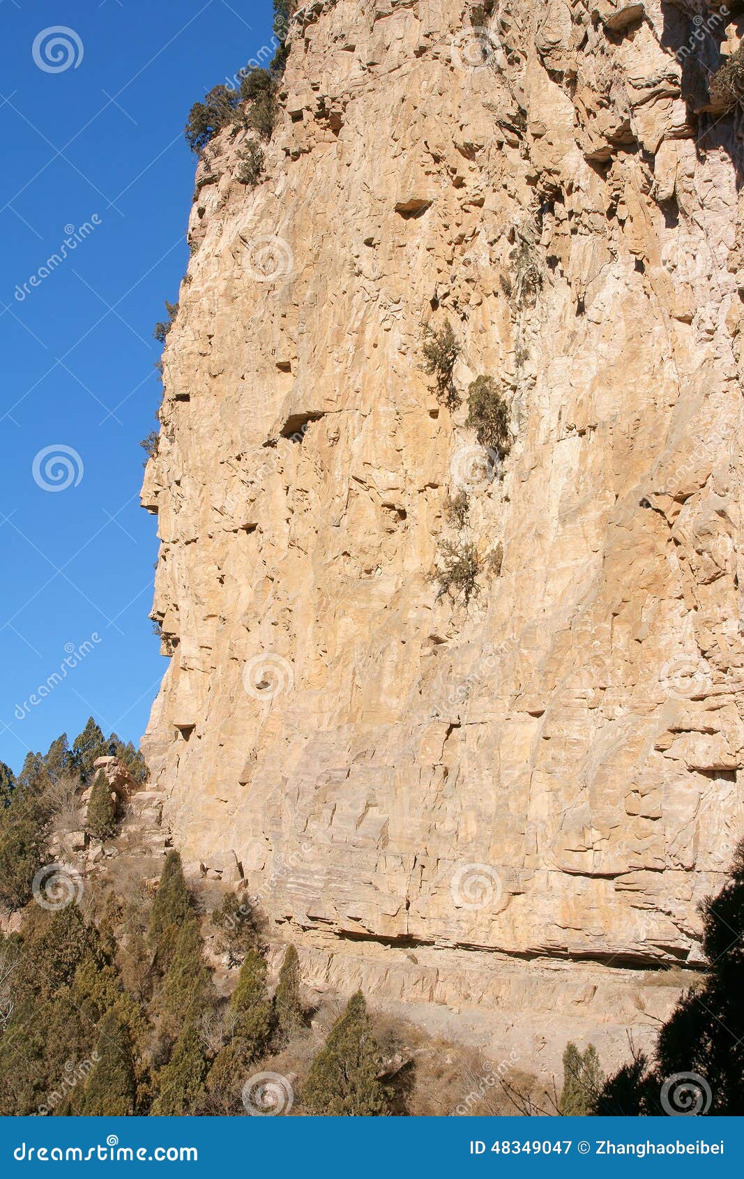 Cliff stock image. Image of cliffs, sharp, cliffy, forest - 48349047