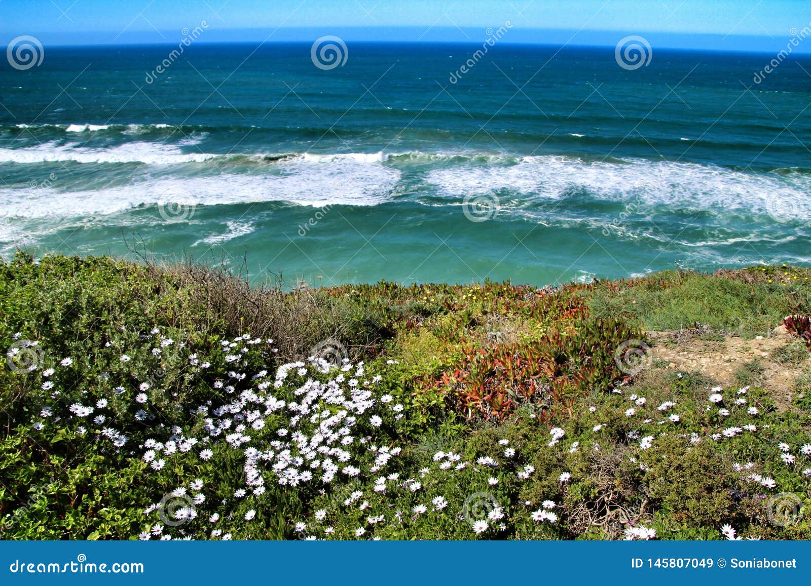 Cliff Edge Looking at the Atlantic Ocean and Covered with Vegetation ...