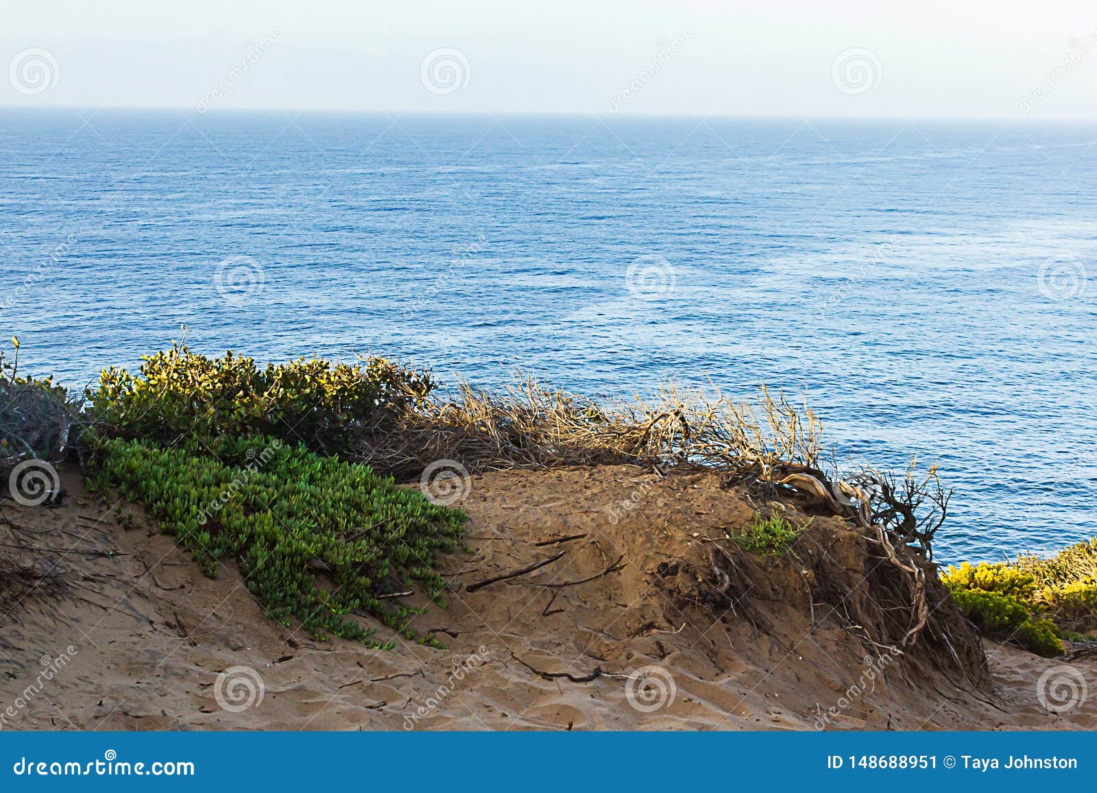 Cliff Edge Views of Ocean Expanse with Plants and Sand Stock Image ...
