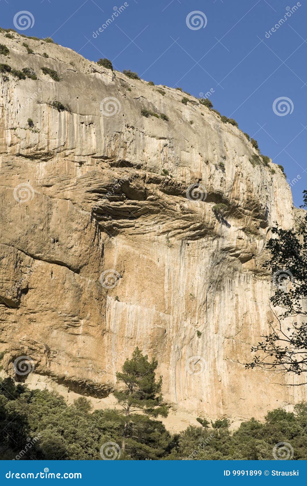 Cliff Face stock image. Image of tree, blue, vertical - 9991899