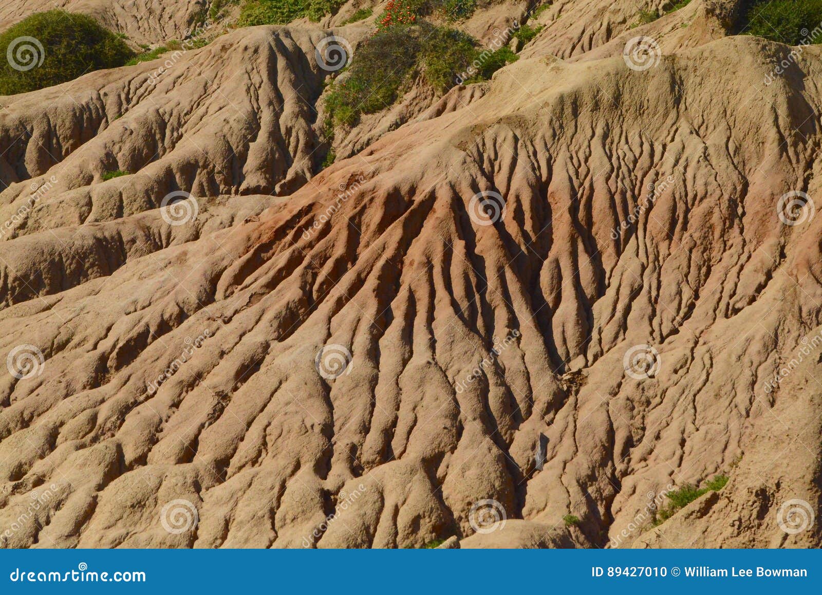 Cliff Face stock photo. Image of topography, diego, crags - 89427010