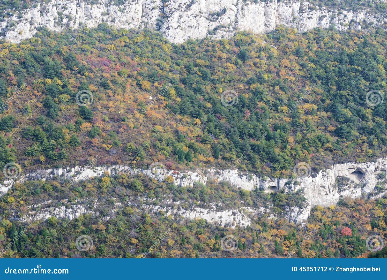 Cliff and forest stock photo. Image of precipice, scenery - 45851712