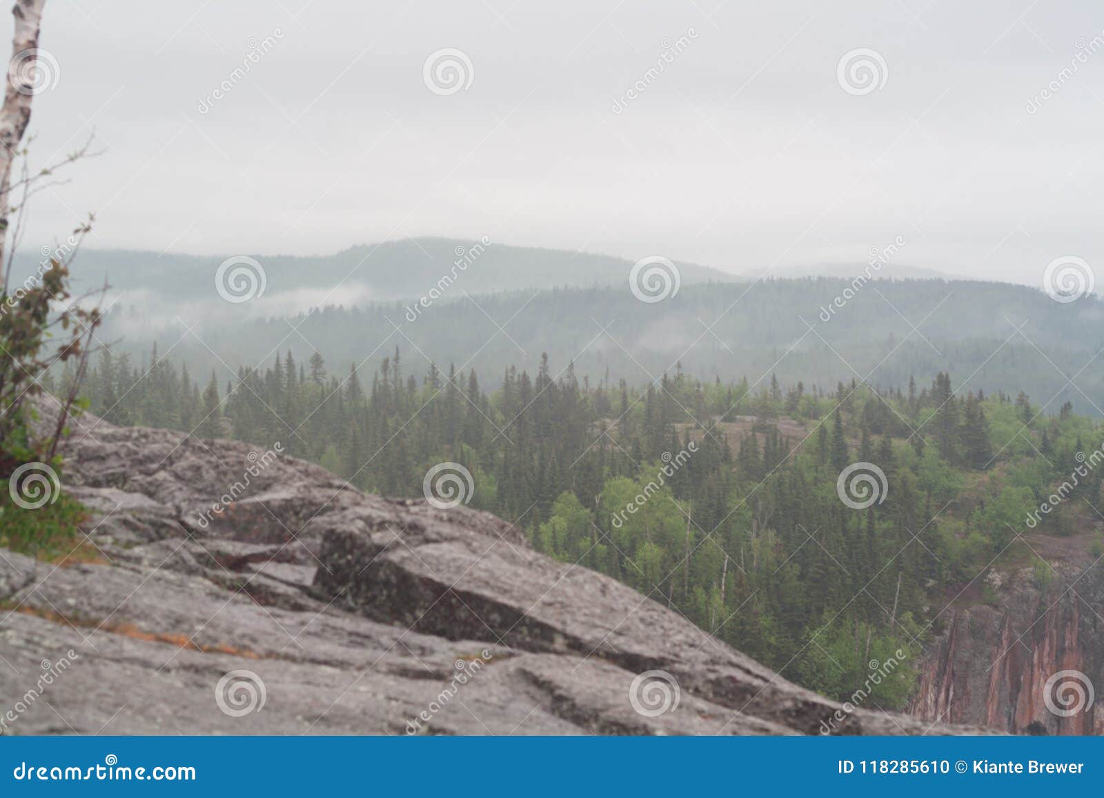 Cliff in Forest Overlooking Whole Forest Stock Photo - Image of valley ...