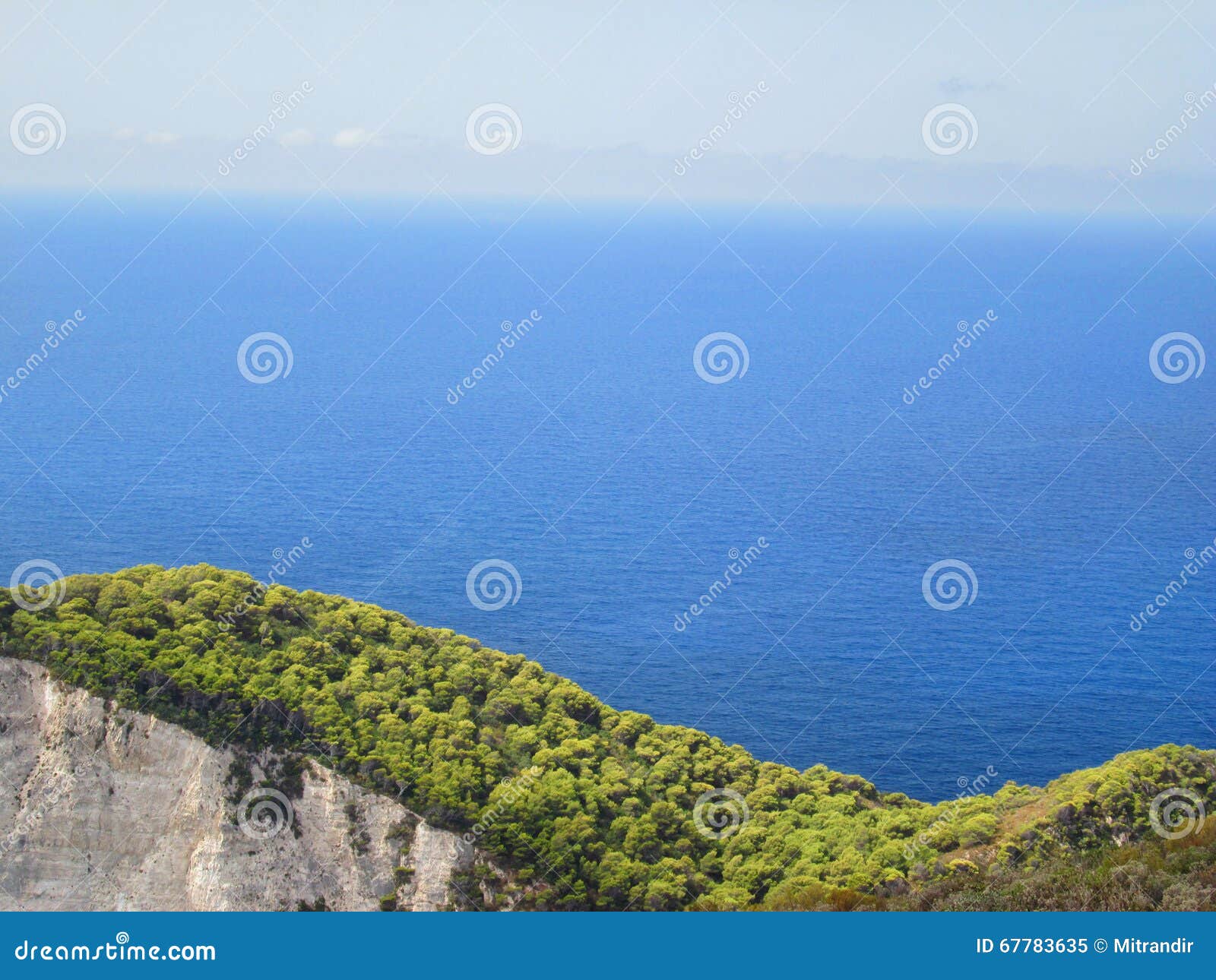 Cliff forest by the sea stock image. Image of holiday - 67783635