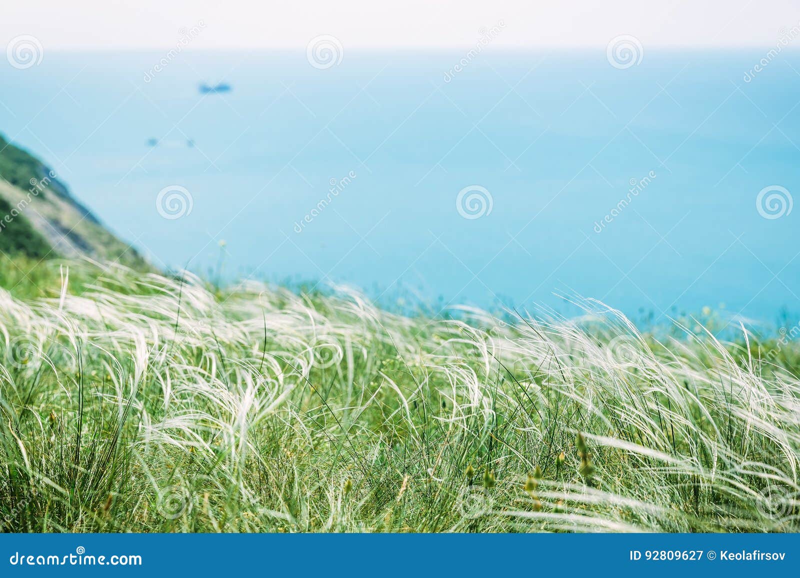 Cliff with Frees and Blue Sea. Beautiful Grass and Ocean Stock Image ...
