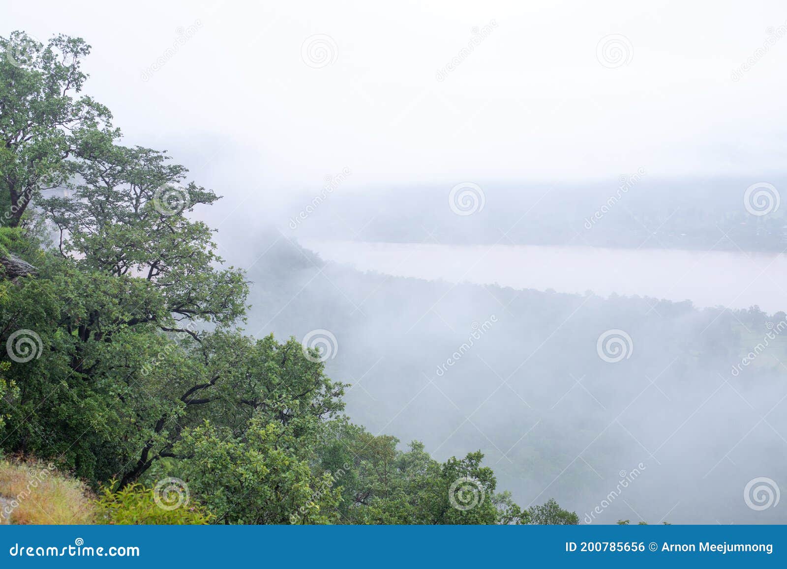 Cliff has evergreen forest stock photo. Image of mountains - 200785656