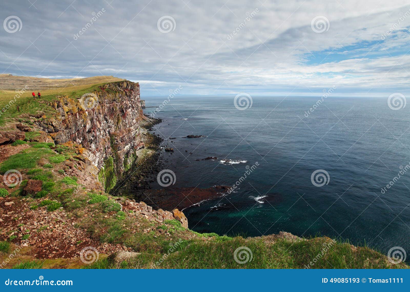 Cliff in Iceland - Latrabjarg Stock Image - Image of atlantic, grass ...
