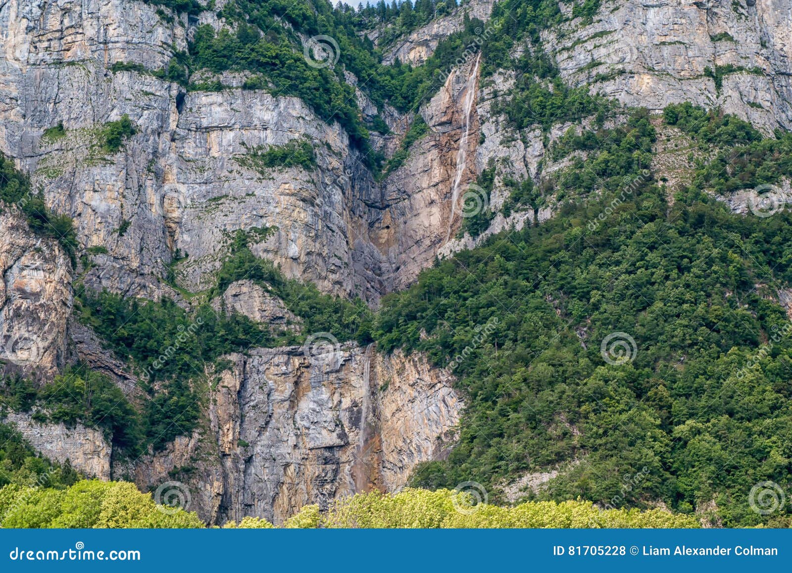 Cliff of a Mountain Covered in Trees Stock Photo - Image of wild ...