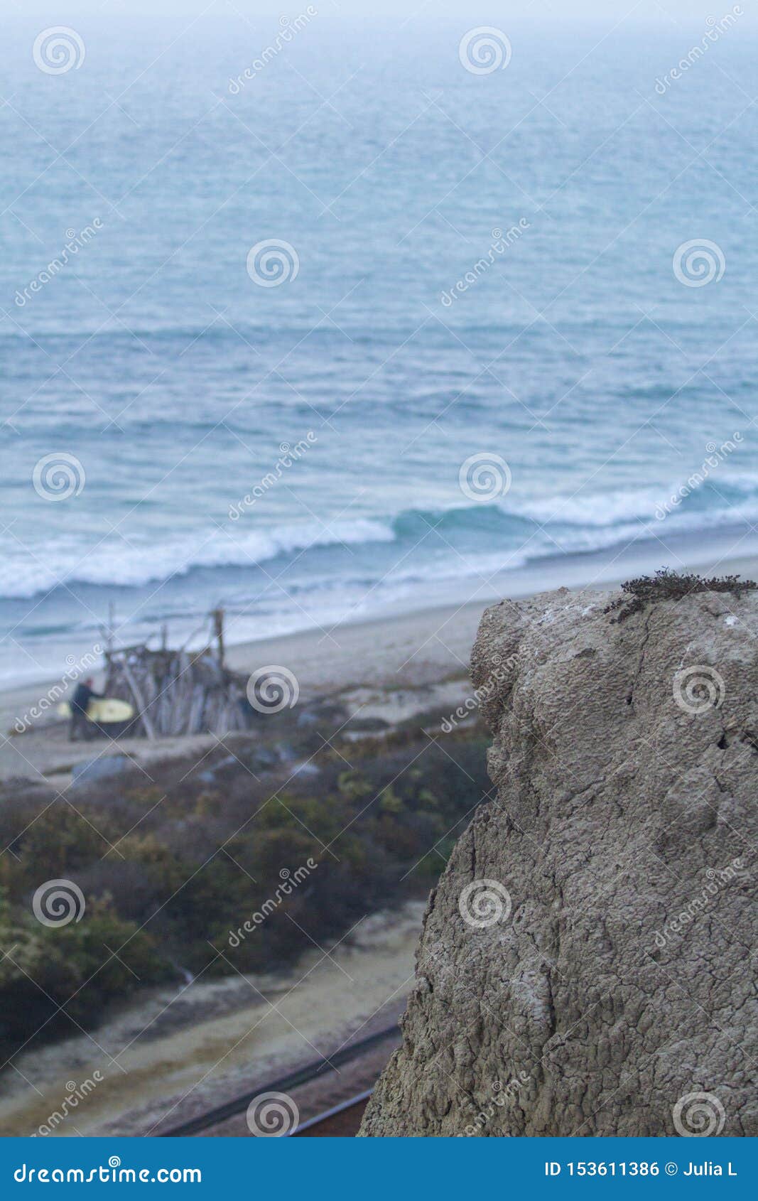 Cliff with Ocean in the Background Stock Photo - Image of plants ...