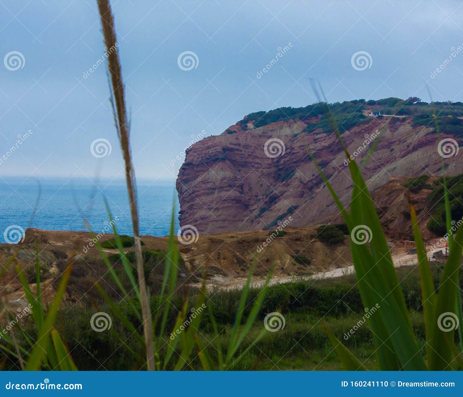 Cliff Over the Ocean Whit Green Grass and Plants Stock Photo - Image of ...