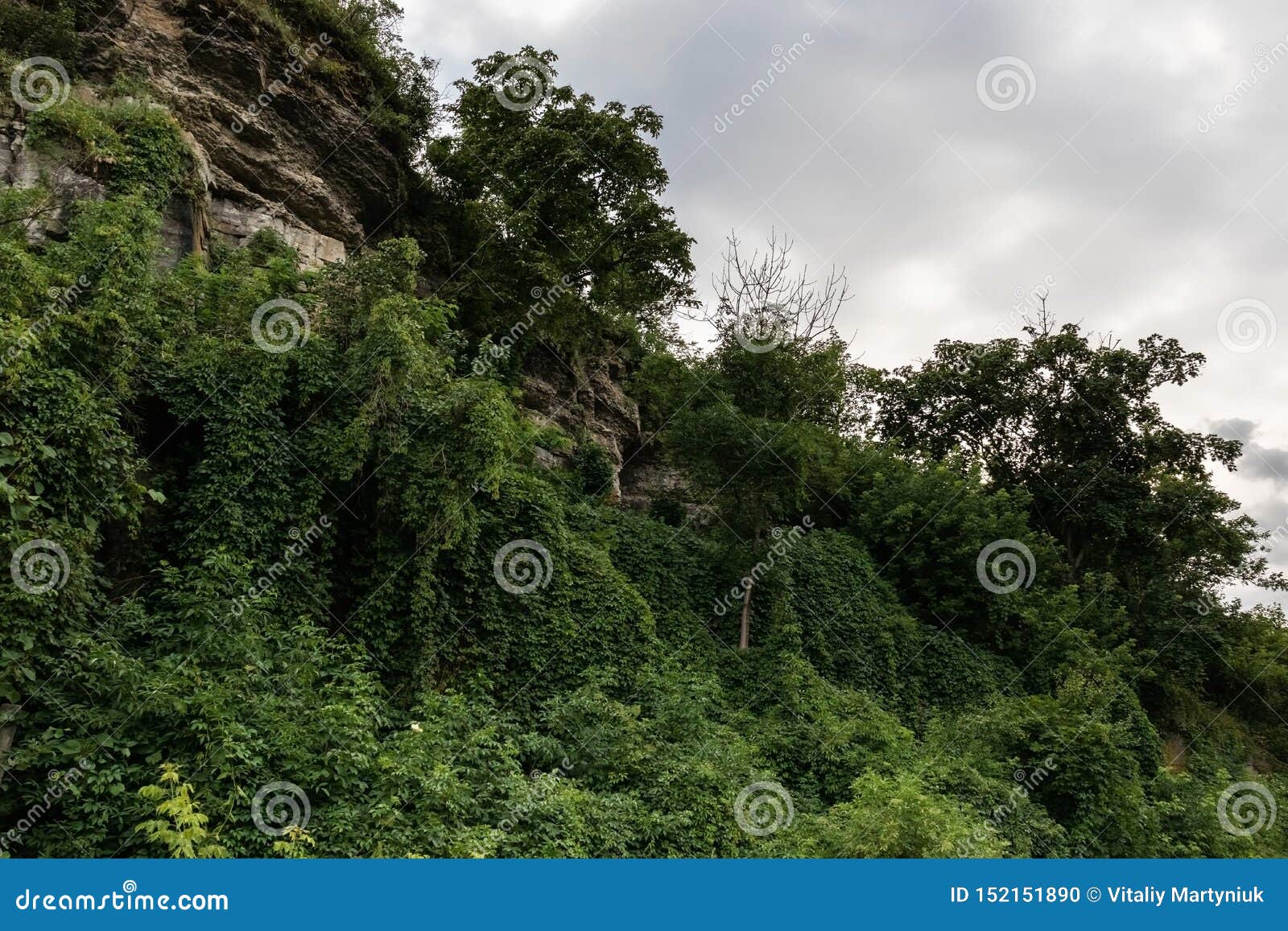 A Cliff Overgrown with Greenery and Trees. Stock Photo - Image of ...