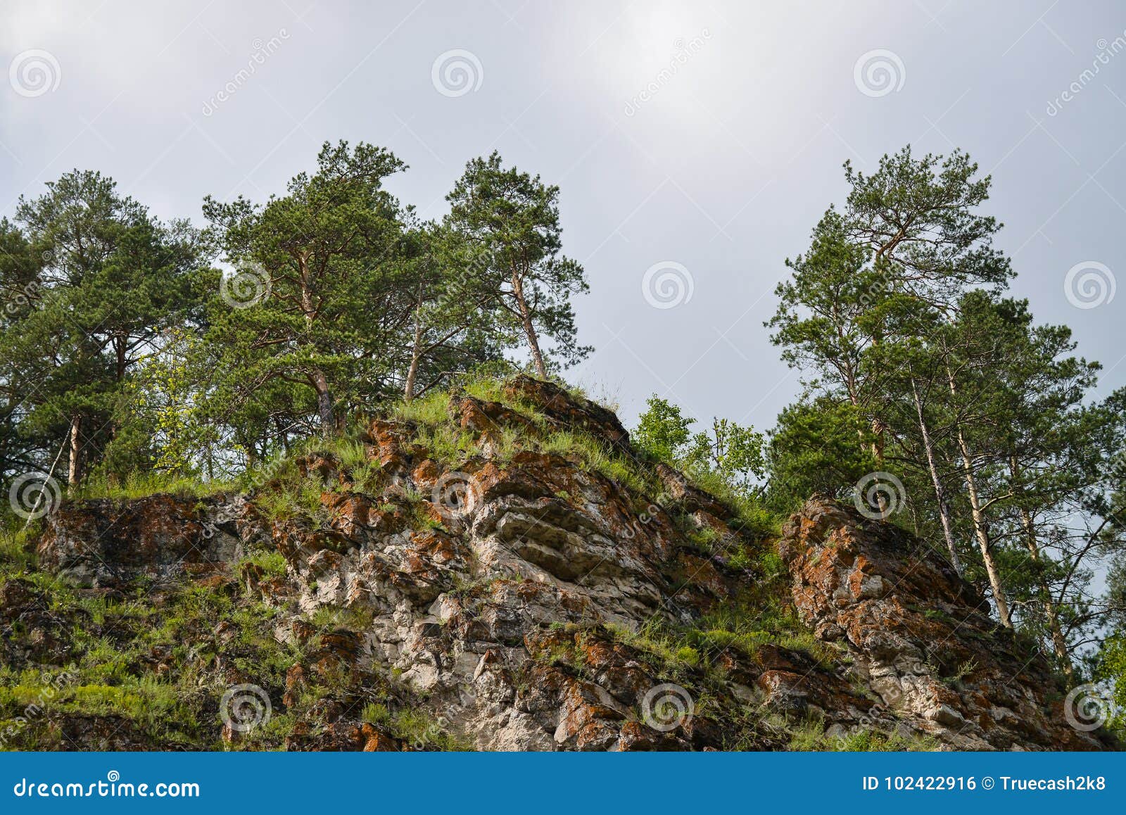 Cliff overgrown with trees stock photo. Image of beautiful - 102422916
