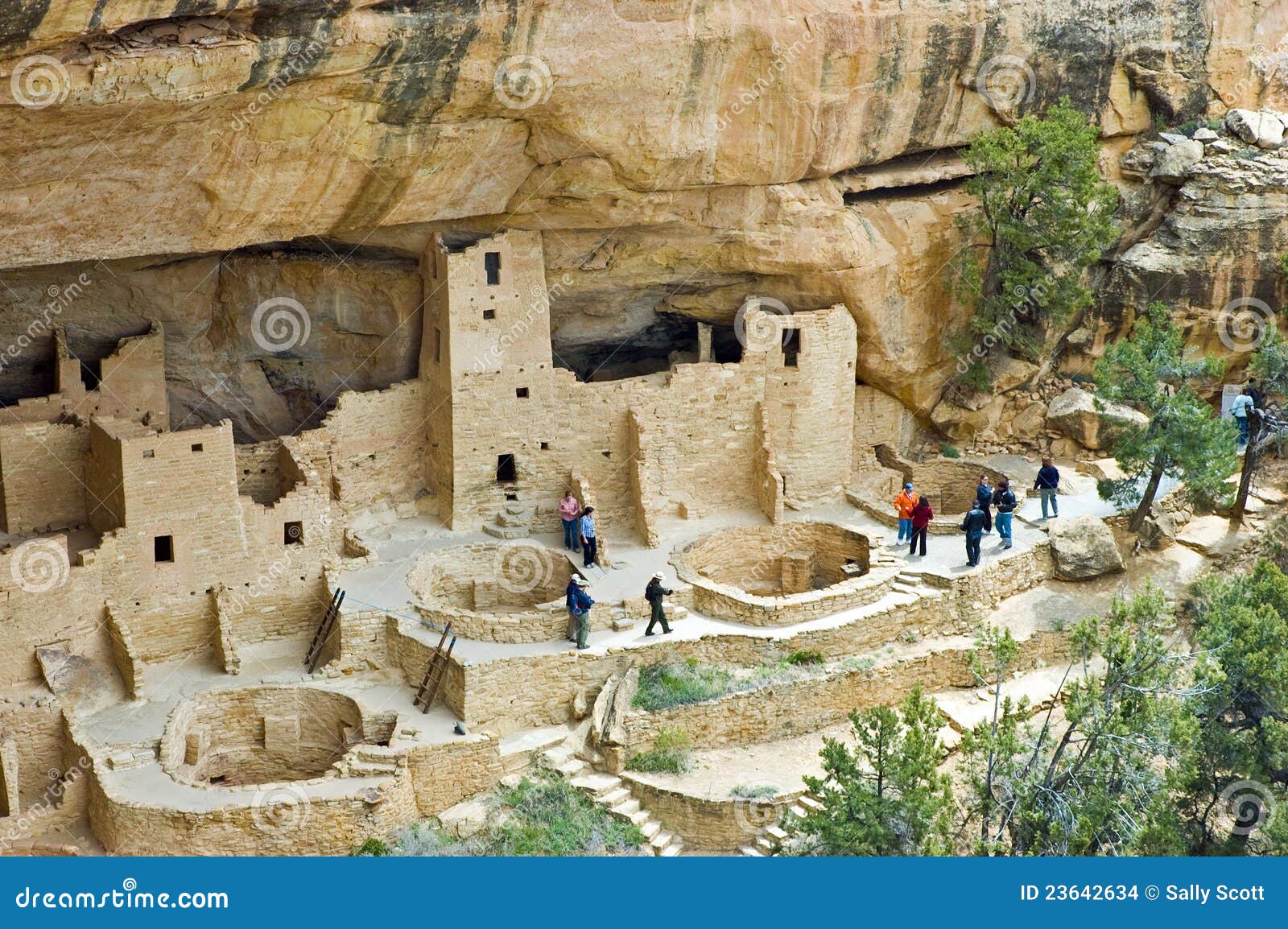 Cliff Palace Ancient Puebloan Village Of Houses And Dwellings In Mesa ...
