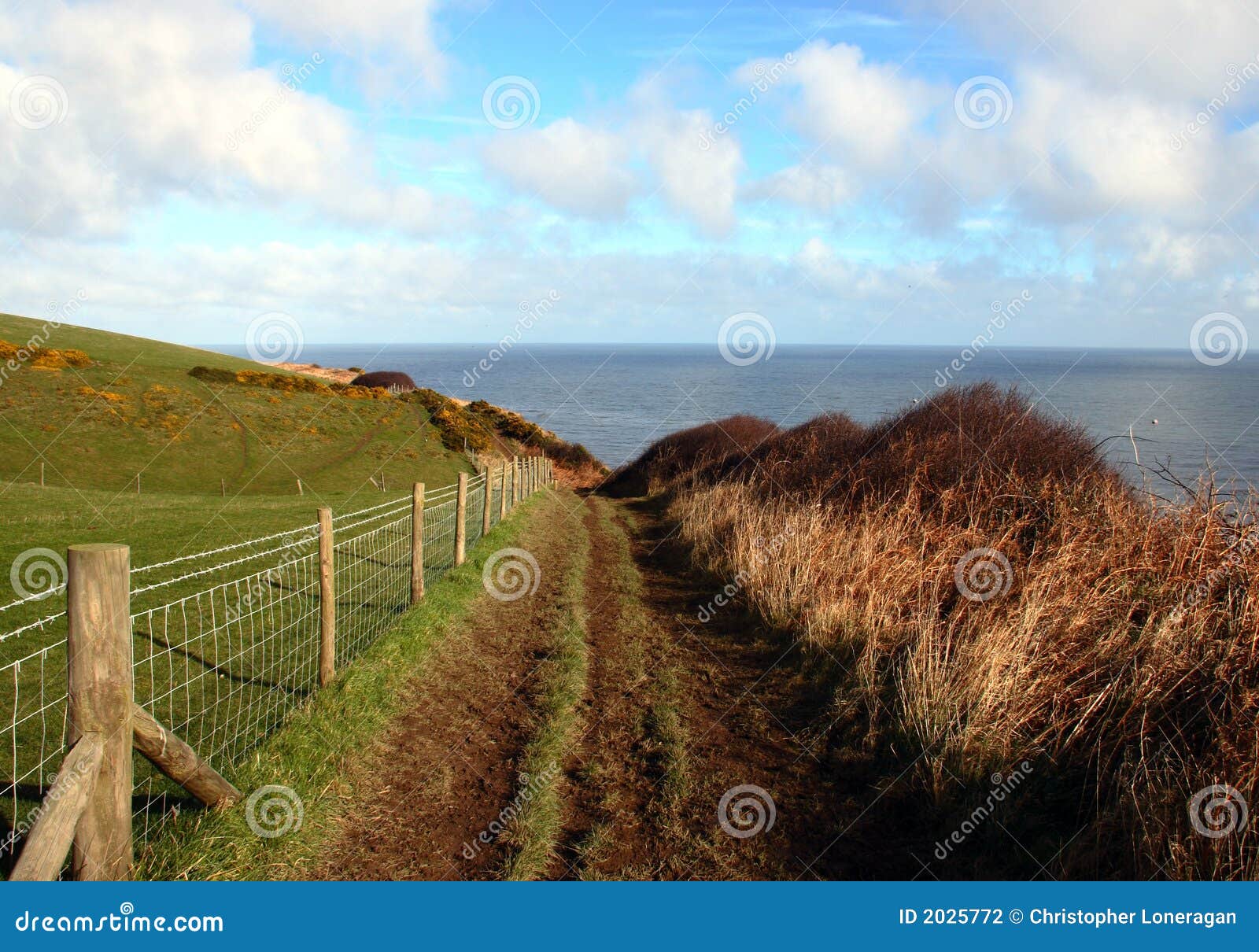 Cliff path stock photo. Image of ocean, path, track, cliff - 2025772