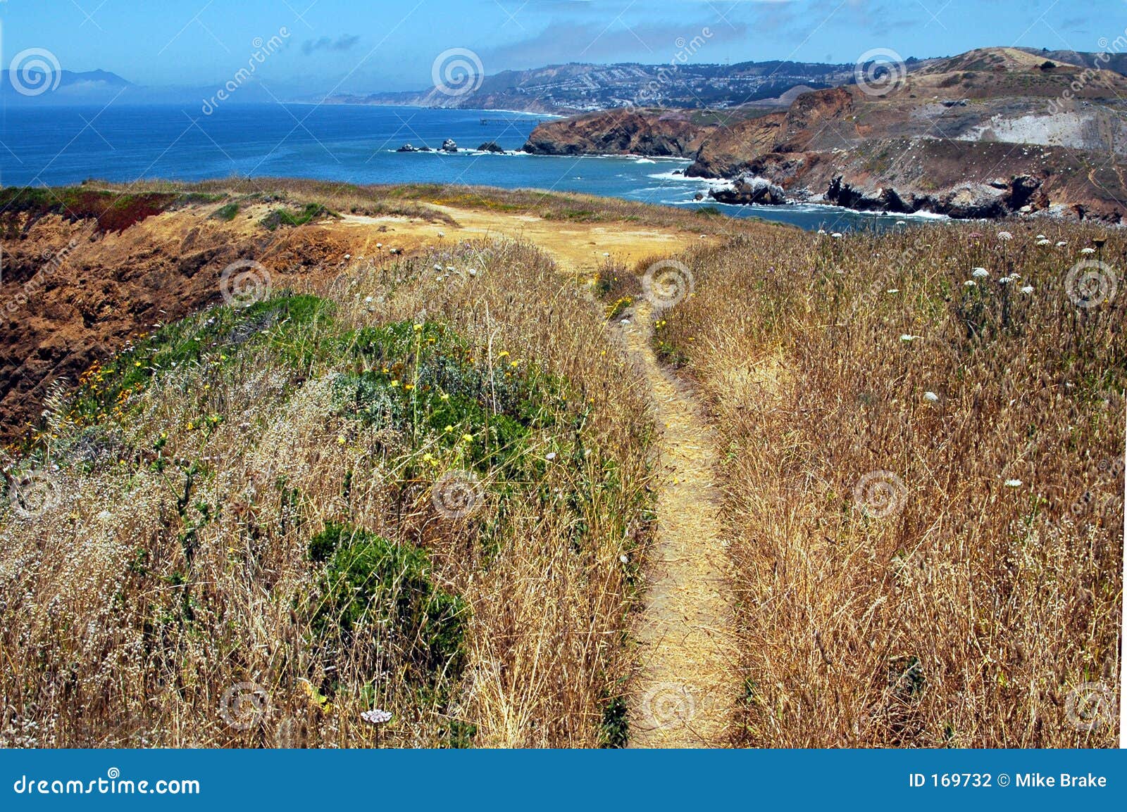 Cliff Pathway stock photo. Image of coast, pacific, grass - 169732