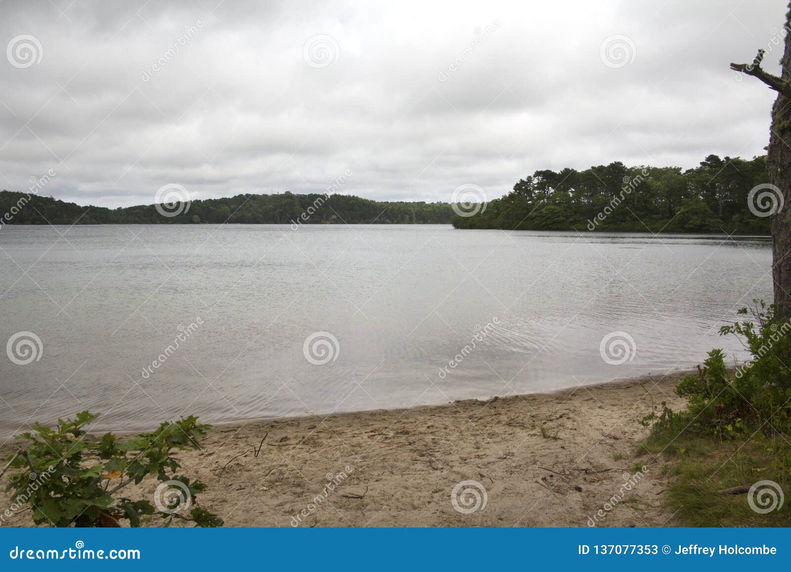 Cliff Pond in Nickerson State Park on Cape Cod Stock Image - Image of ...