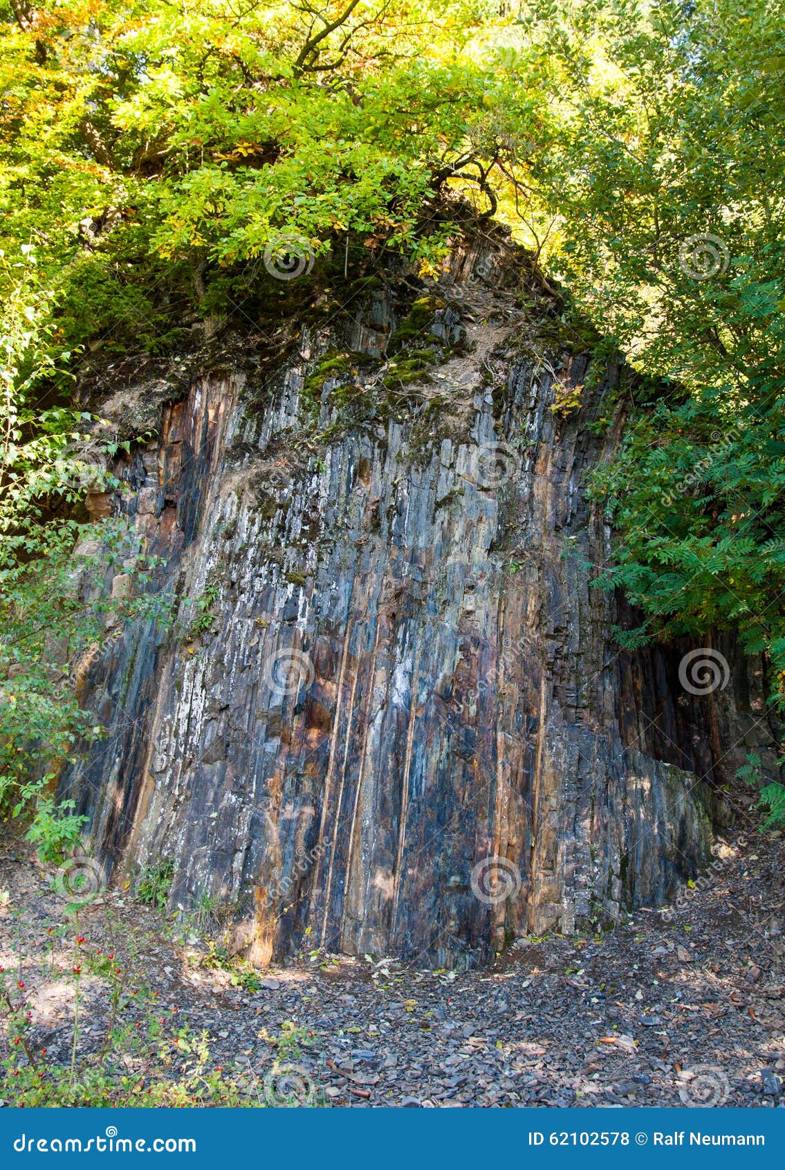 Cliff in the Quarry at Bromberg Stock Photo - Image of shale, sauerland ...