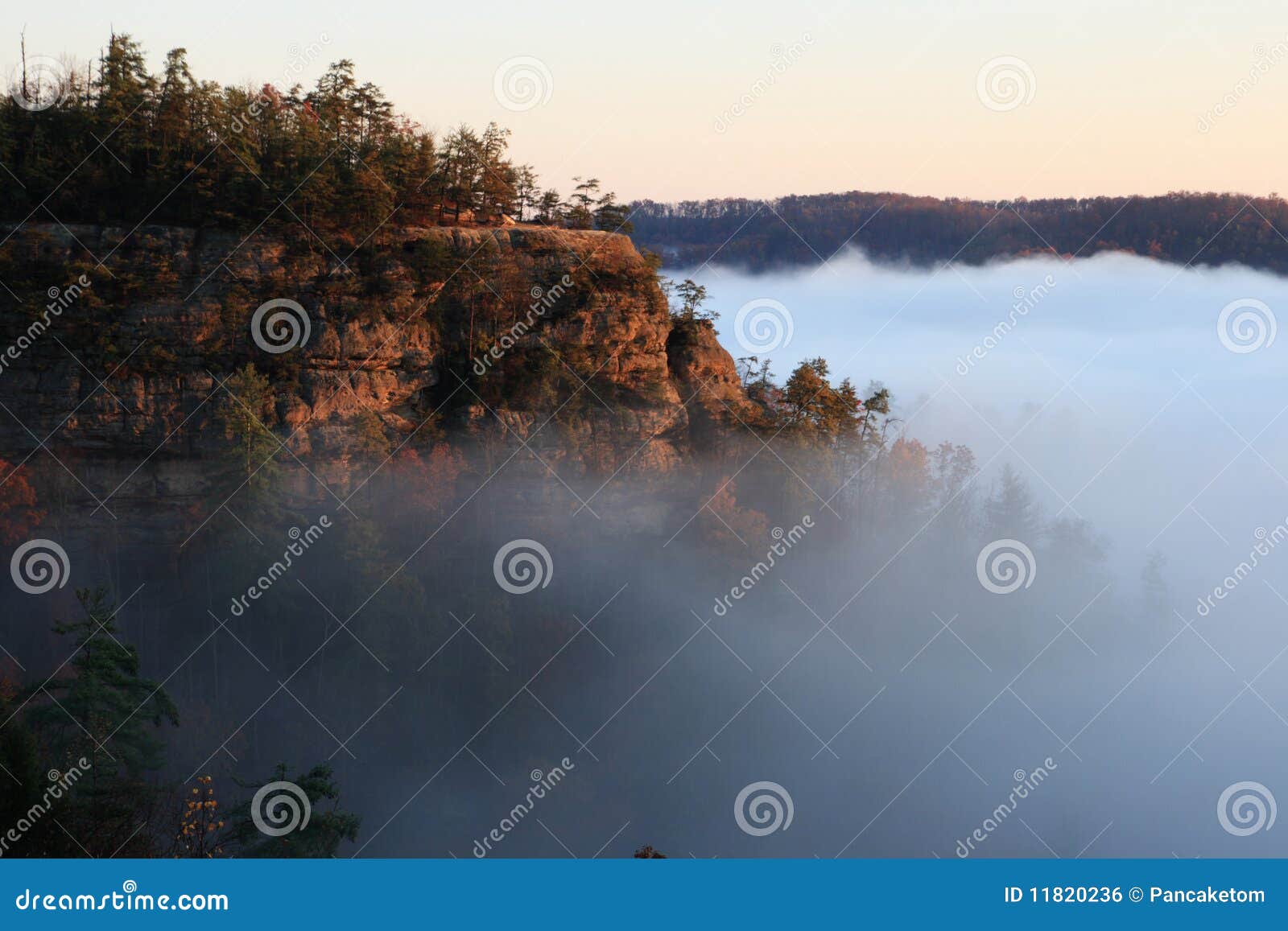 Cliff rises above fog stock photo. Image of cliff, trees - 11820236